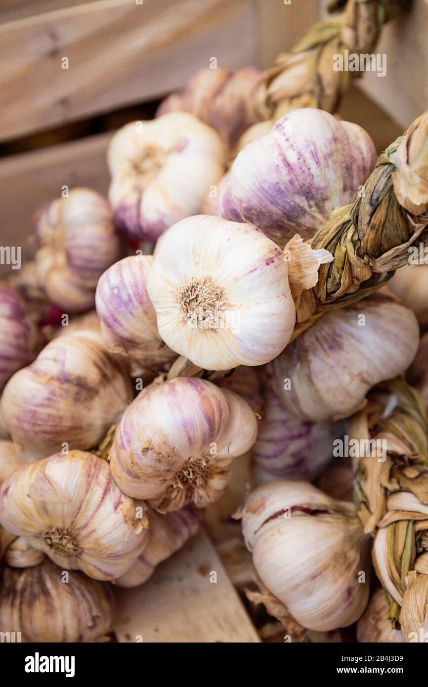 Europe, Italy, Piedmont, Cannobio. Stills of dried garlic at the weekly ...