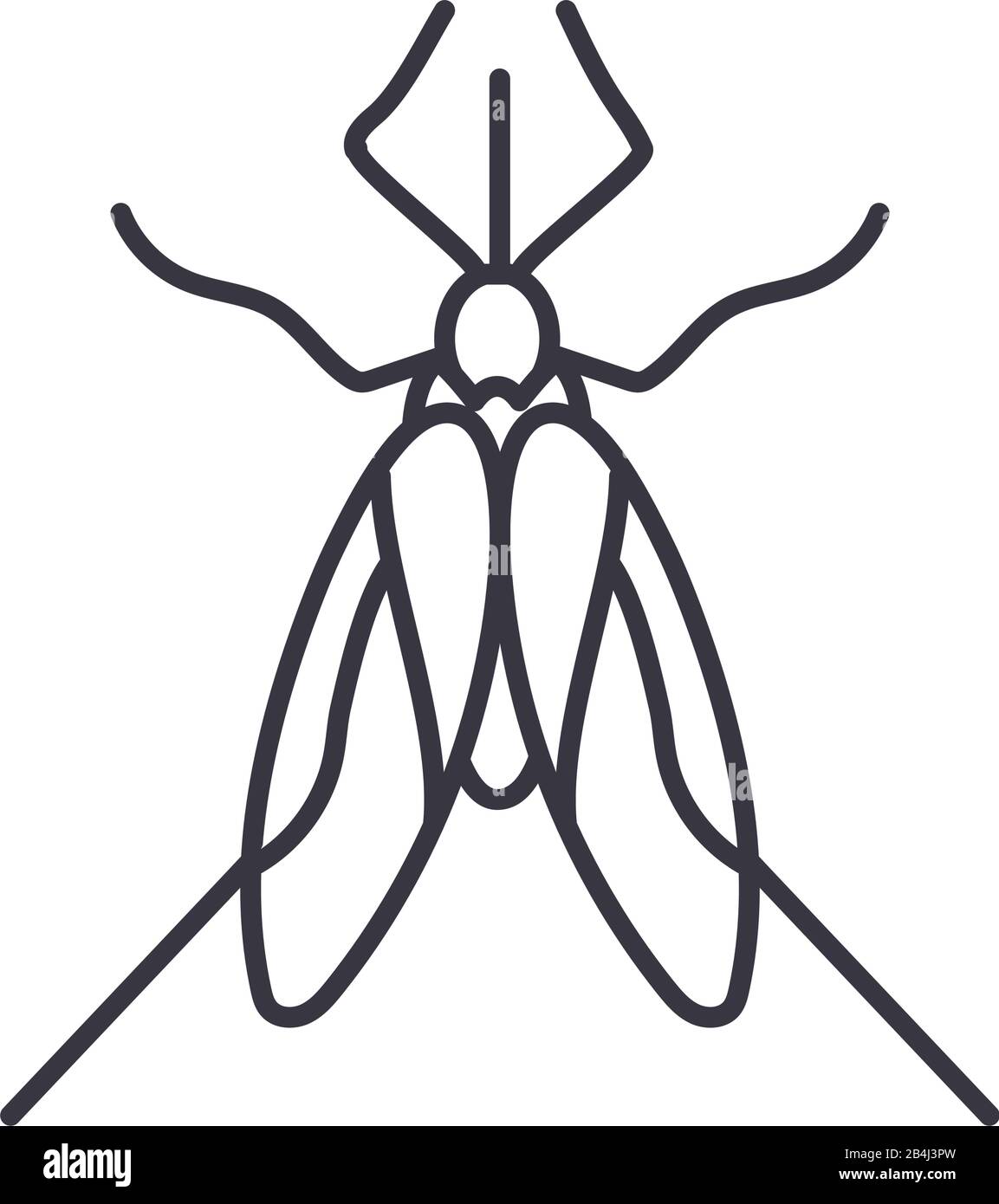 Beetle Insect Icon Over White Background Line Detail Style Vector