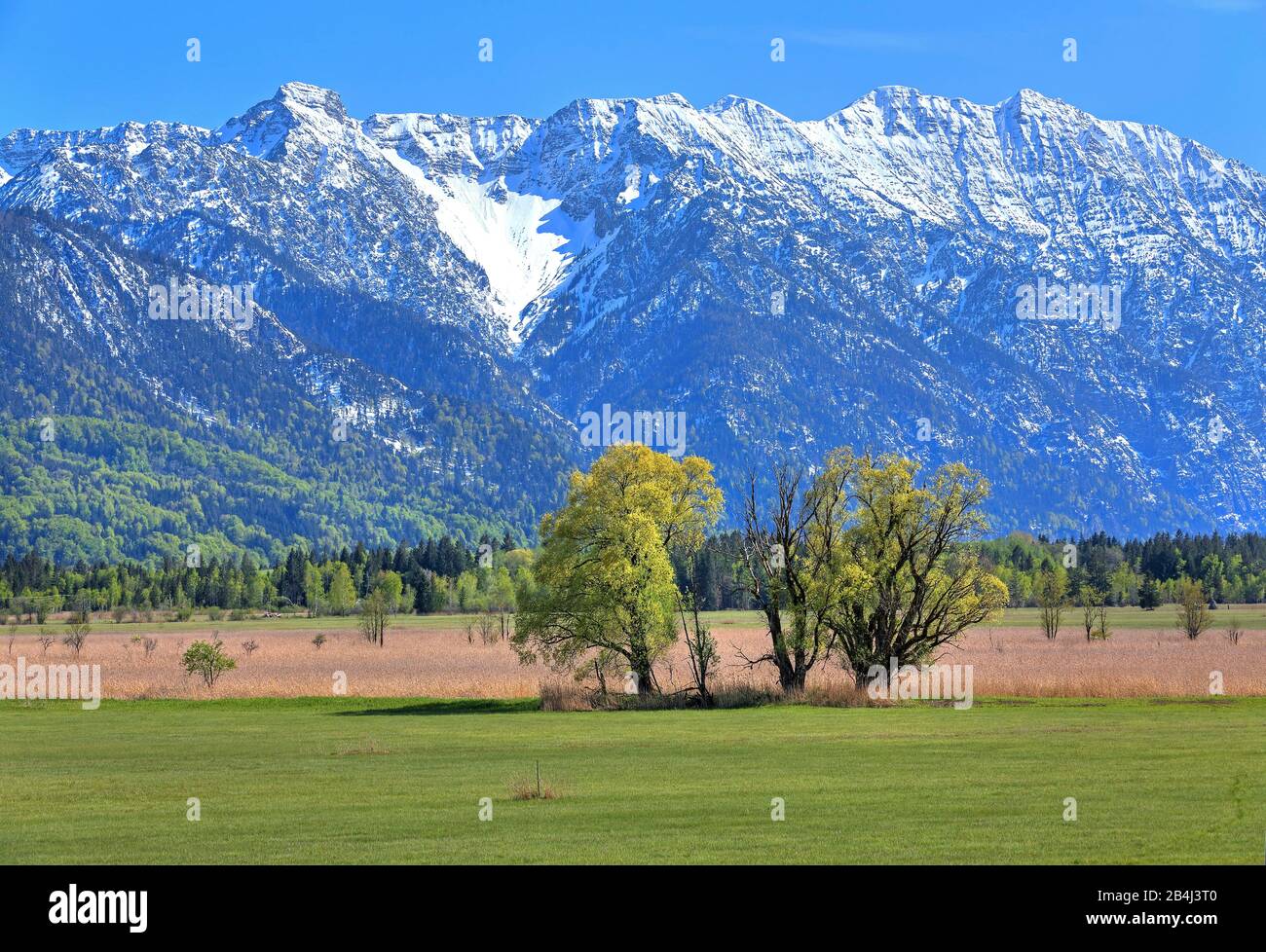 Landscape in the Murnauer Moos against Hohe Kisten 1922m in the ...