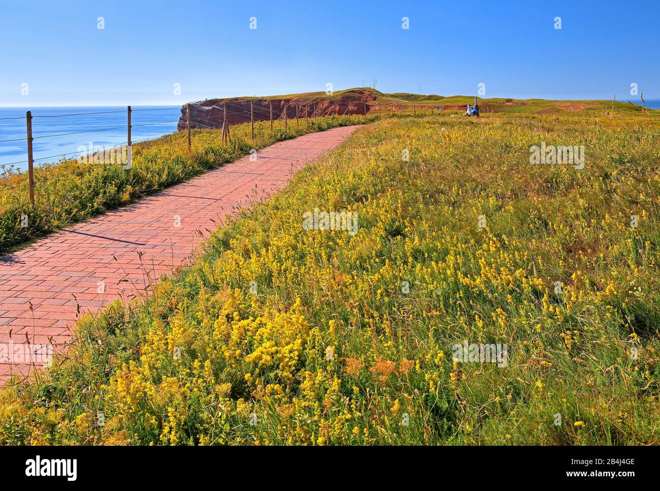 Circular path on the cliff edge of the western cliffs, Heligoland ...