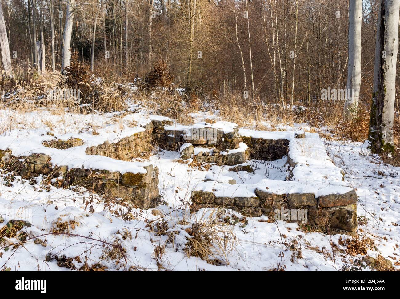 Germany, Baden-Württemberg, Tübingen, Hermitage on the Bromberg ...