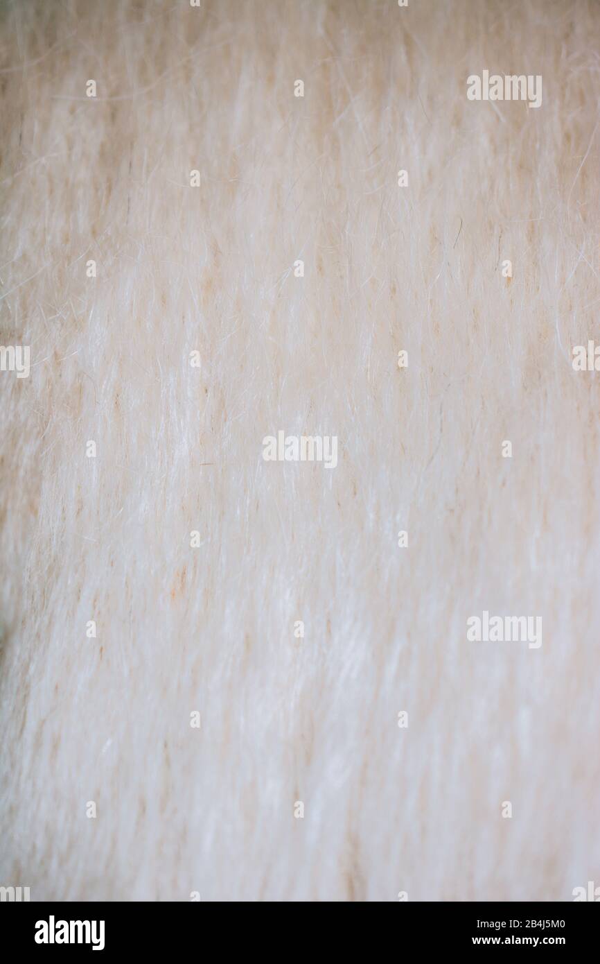 Gray felt like fabric material forming a texture background Stock Photo ...