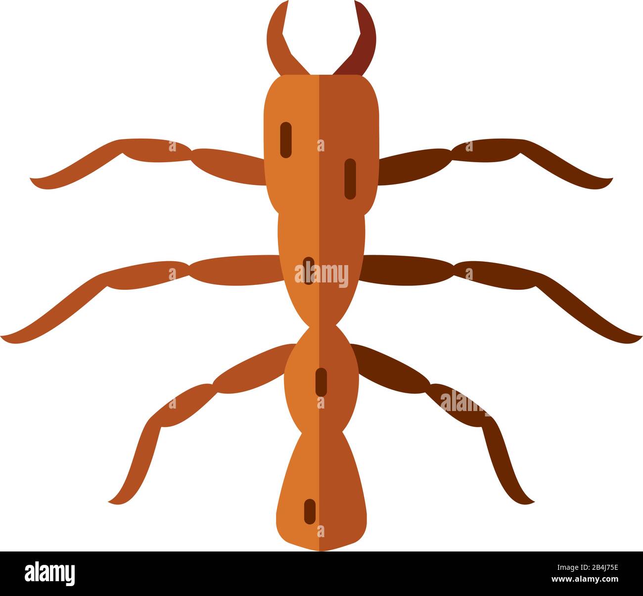 termite insect over white background, flat style icon, vector ...