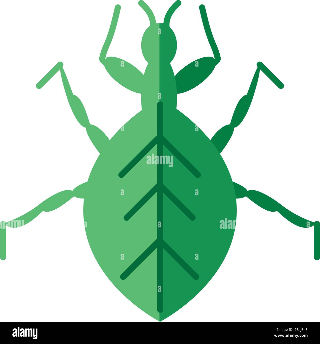 Aphid Stock Vector Images - Alamy