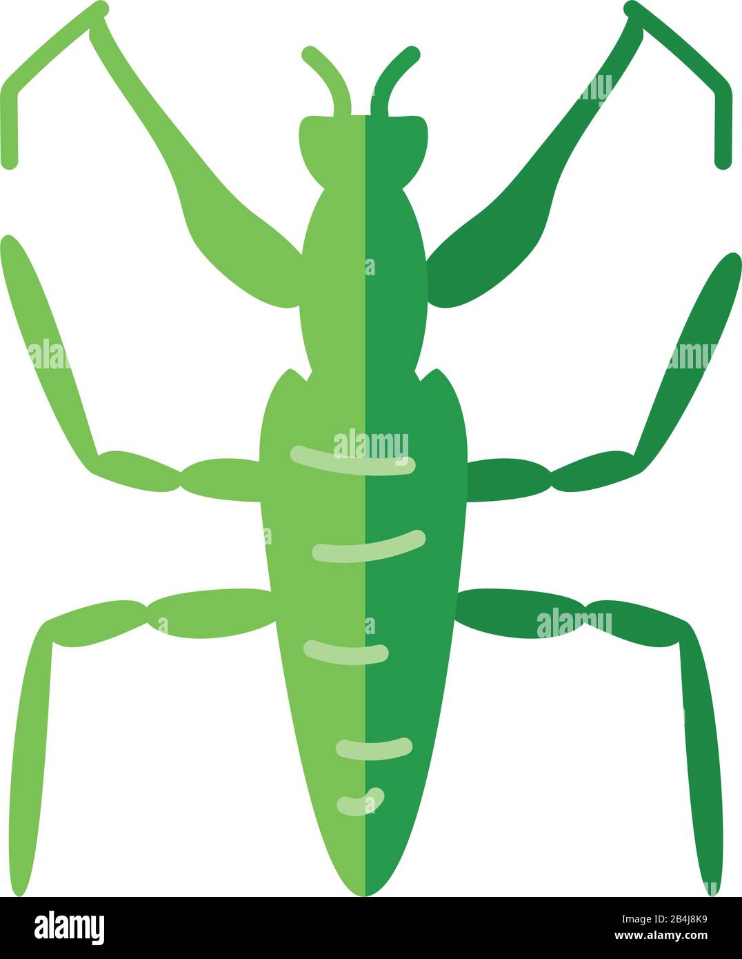mantis insect over white background, flat style icon, vector ...
