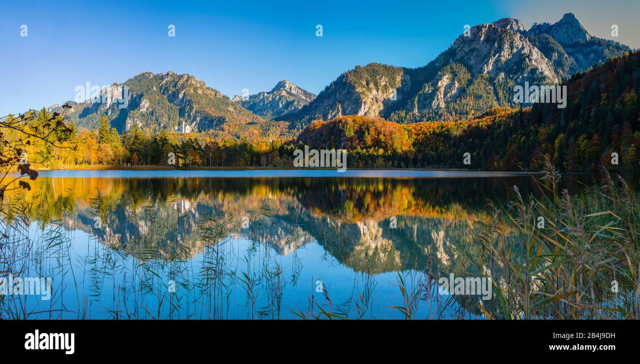 Neuschwanstein Castle near Hohenschwangau, Romantic Road, Ostallgäu ...