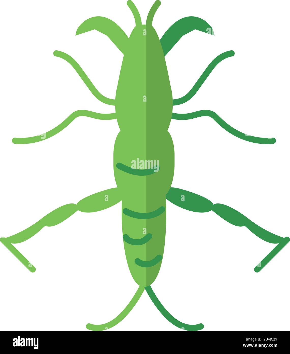stick insect over white background, flat style icon, vector ...