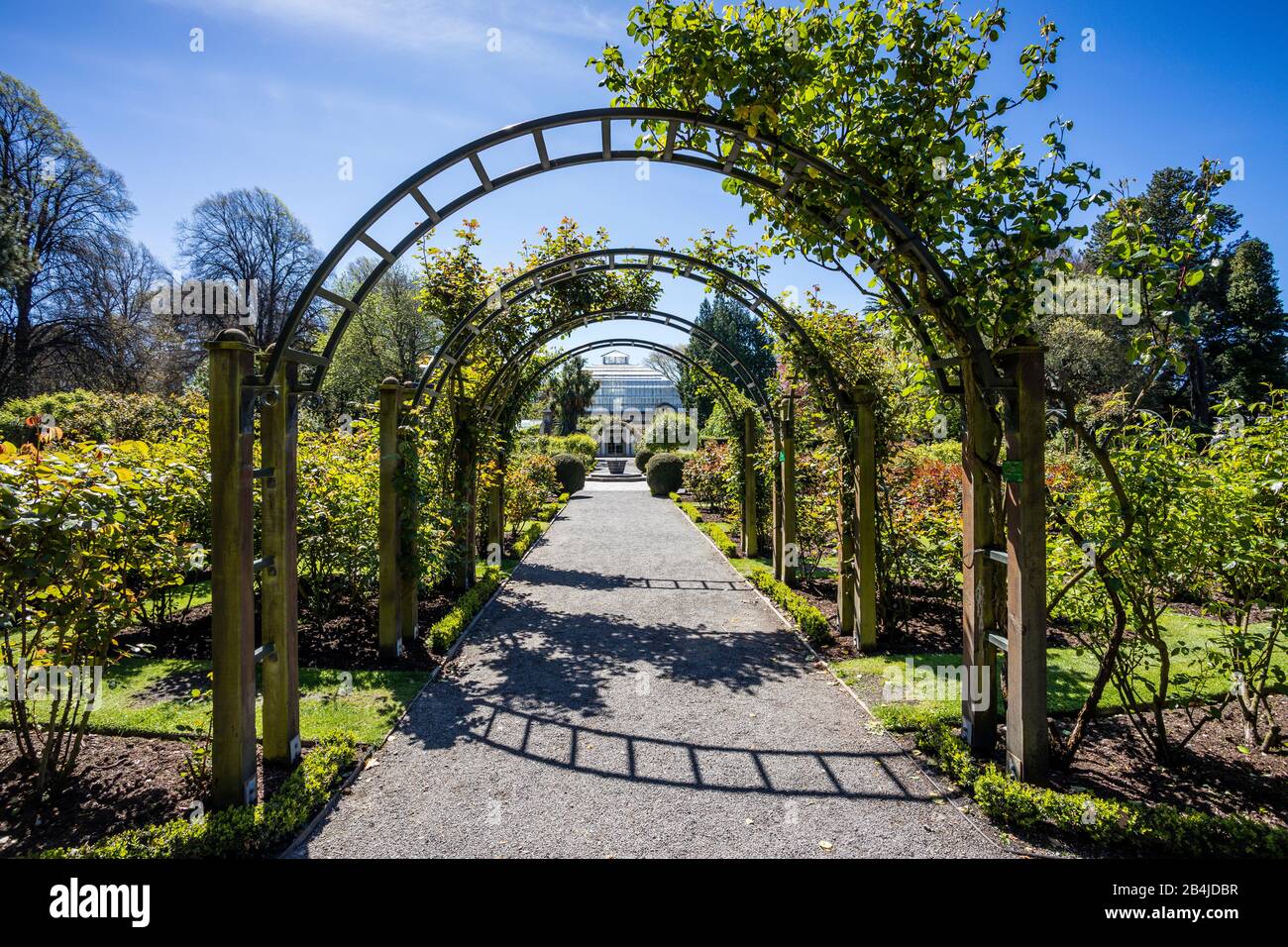 Rose arch at christchurch botanic gardens hi-res stock photography and ...