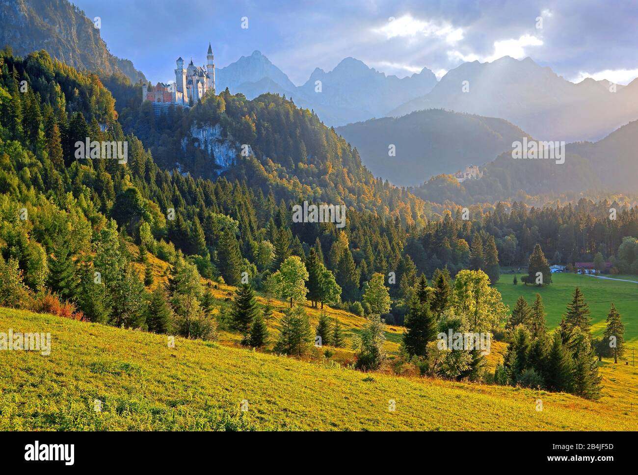 Autumn landscape with Neuschwanstein Castle against Lechtaler Alps ...