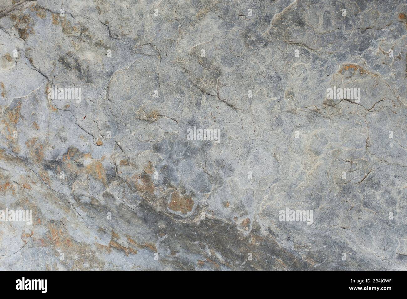 A grey limestone with different colour shades. for elegant background ...