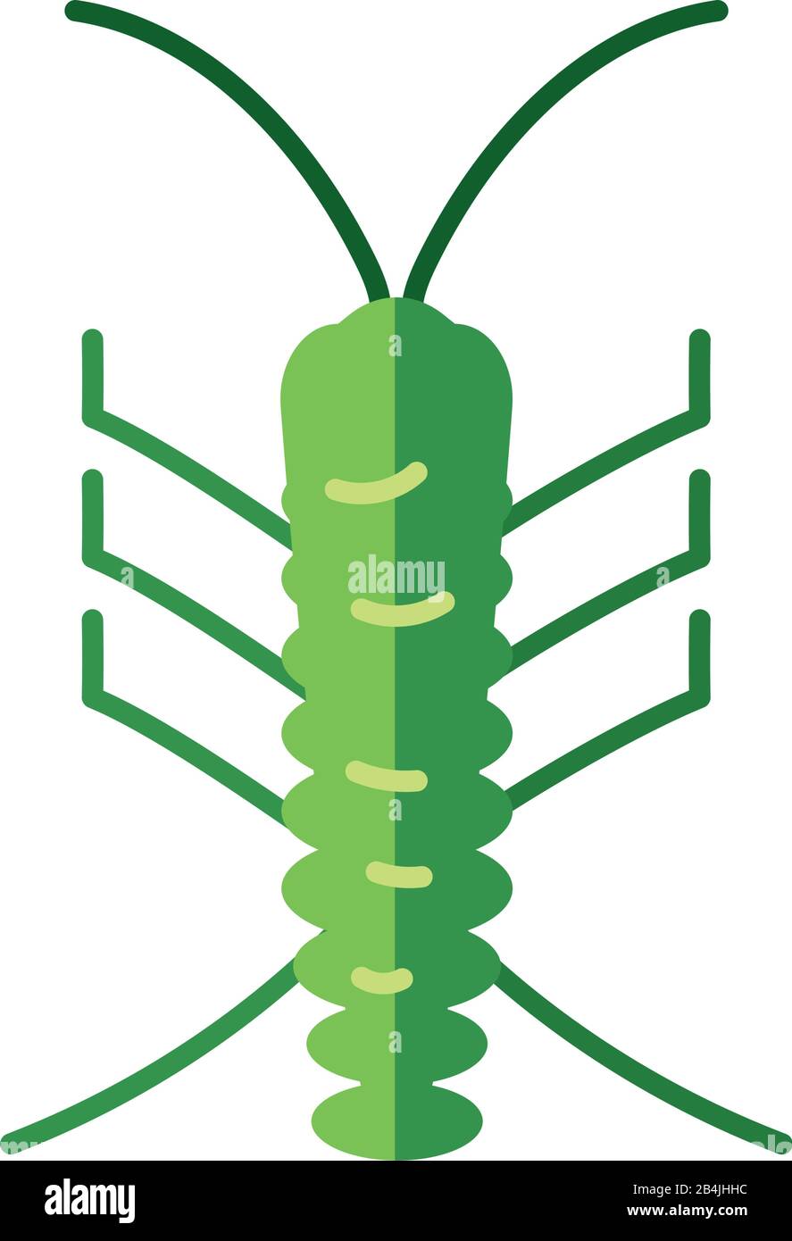 stick insect icon over white background, flat style, vector ...