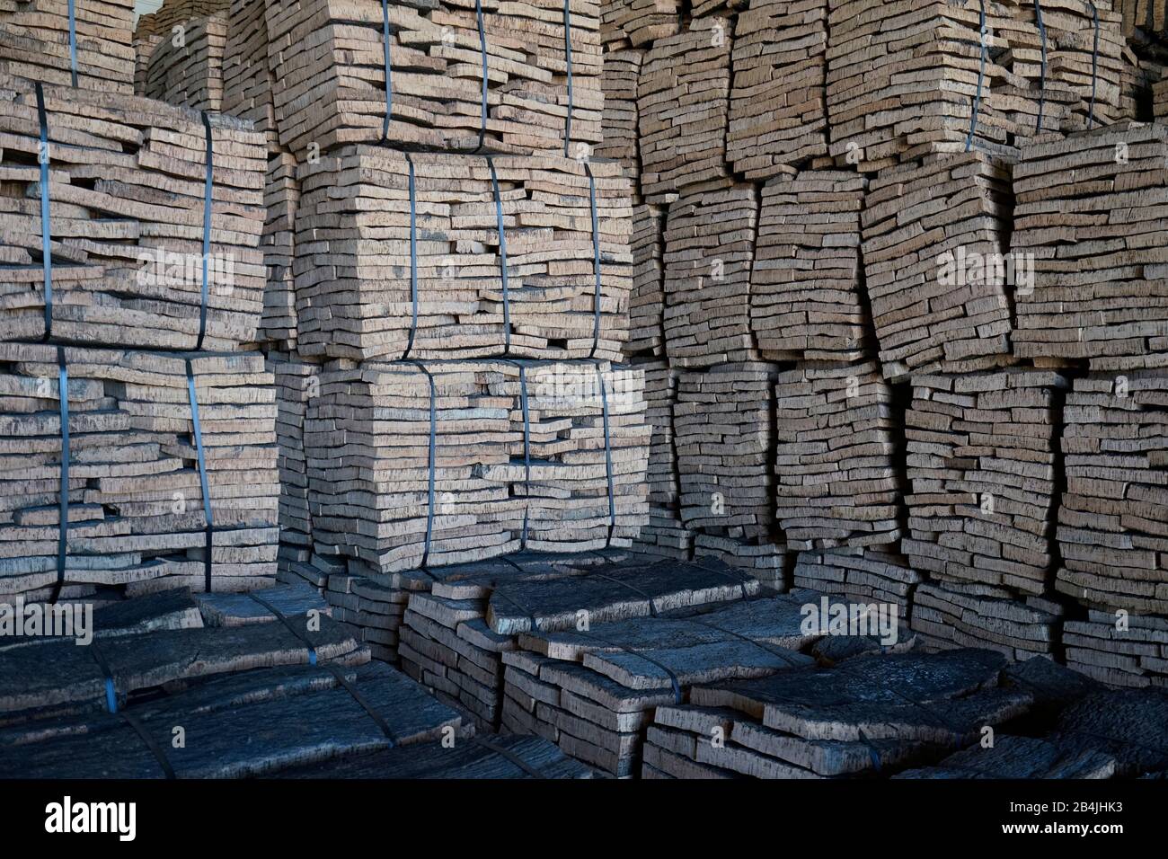 Europe, Portugal, Alentejo region, Evora, cork factory, inside, cut ...