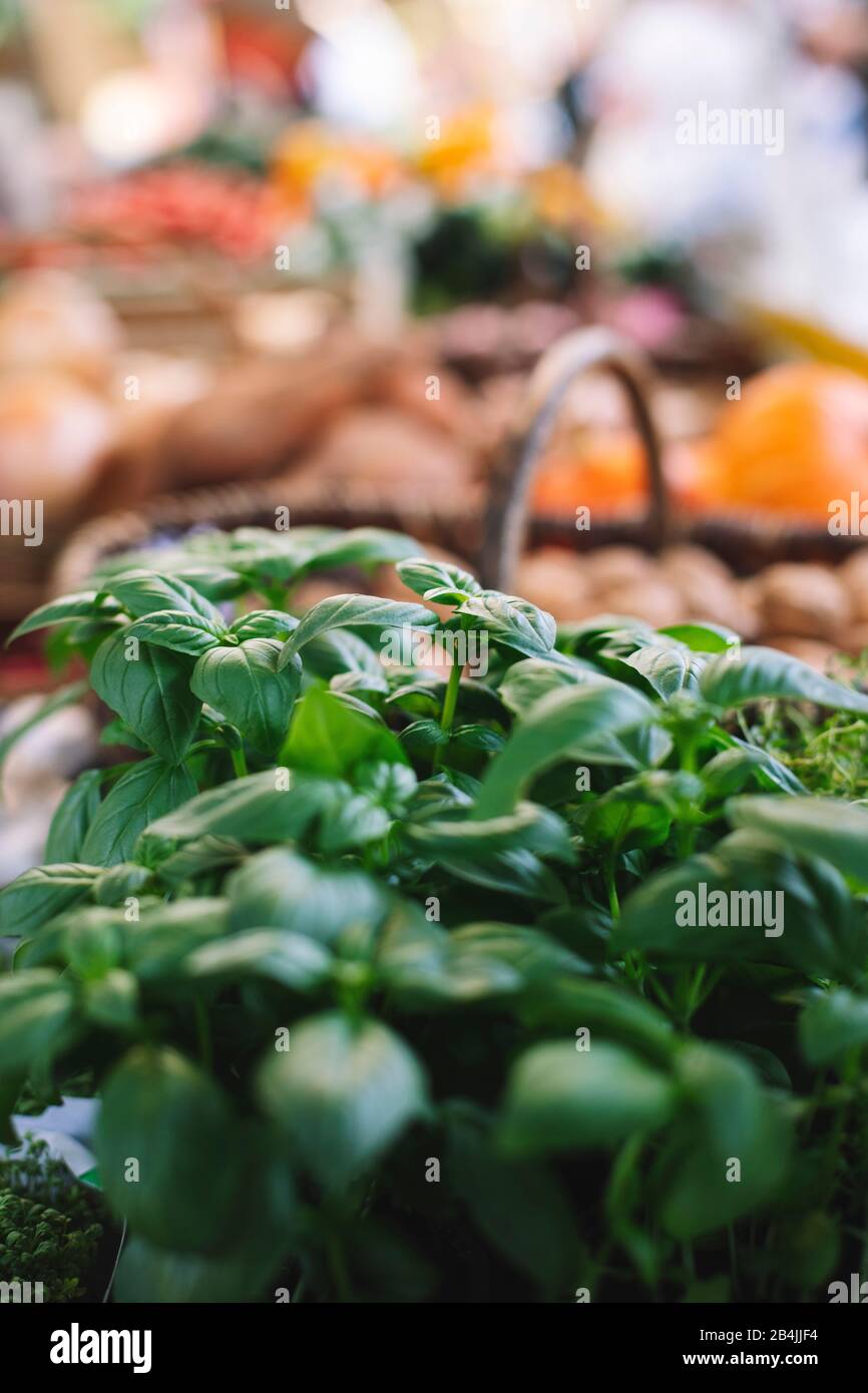 Herb and vegetable stall at the market, close-up Stock Photo - Alamy