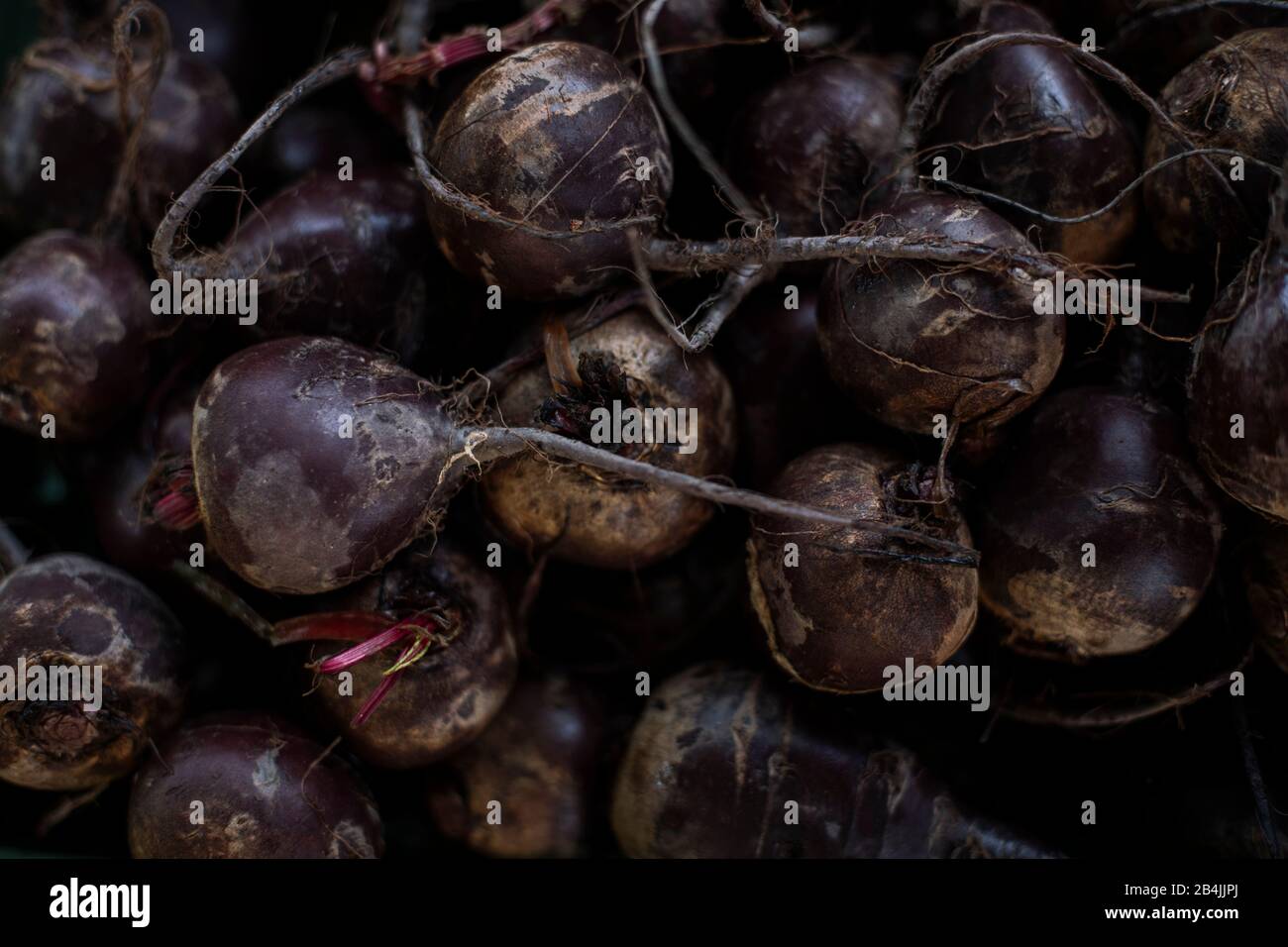 Beetroot on market stall for sale, close-up Stock Photo - Alamy