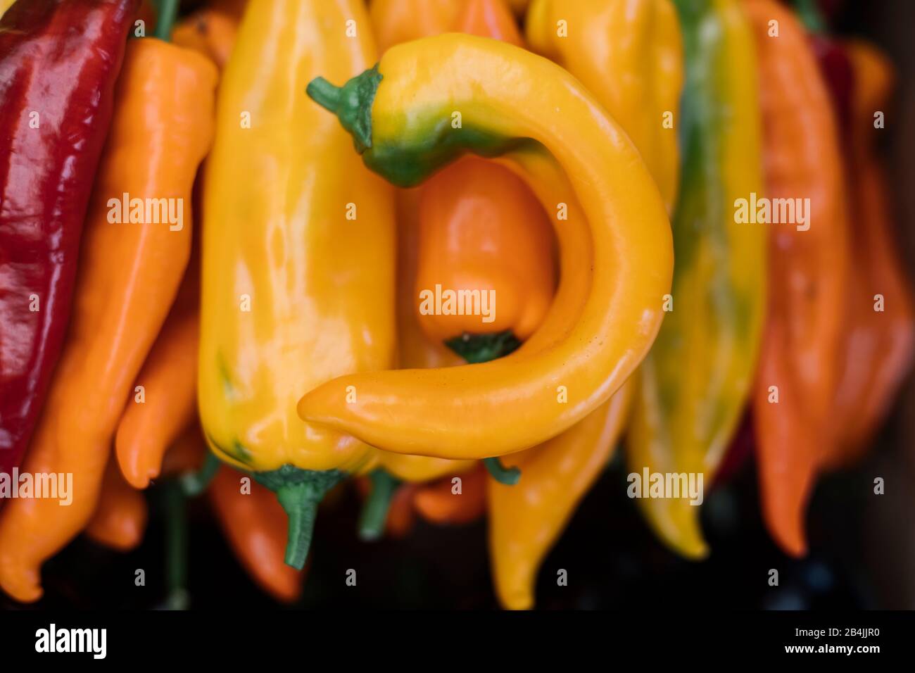 Bell peppers for sale hi-res stock photography and images - Alamy