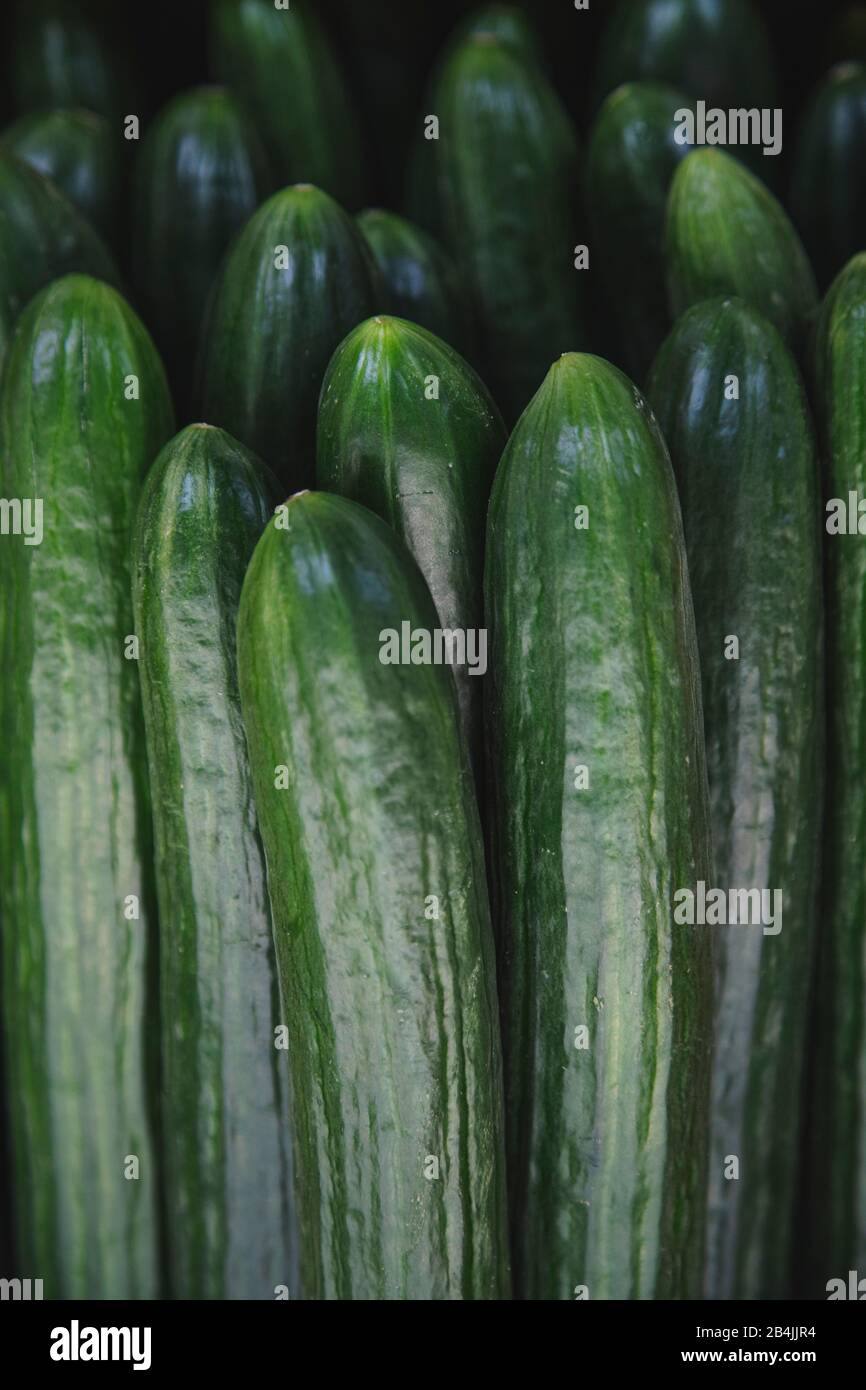 Cucumbers for sale at the market stall, close-up Stock Photo - Alamy