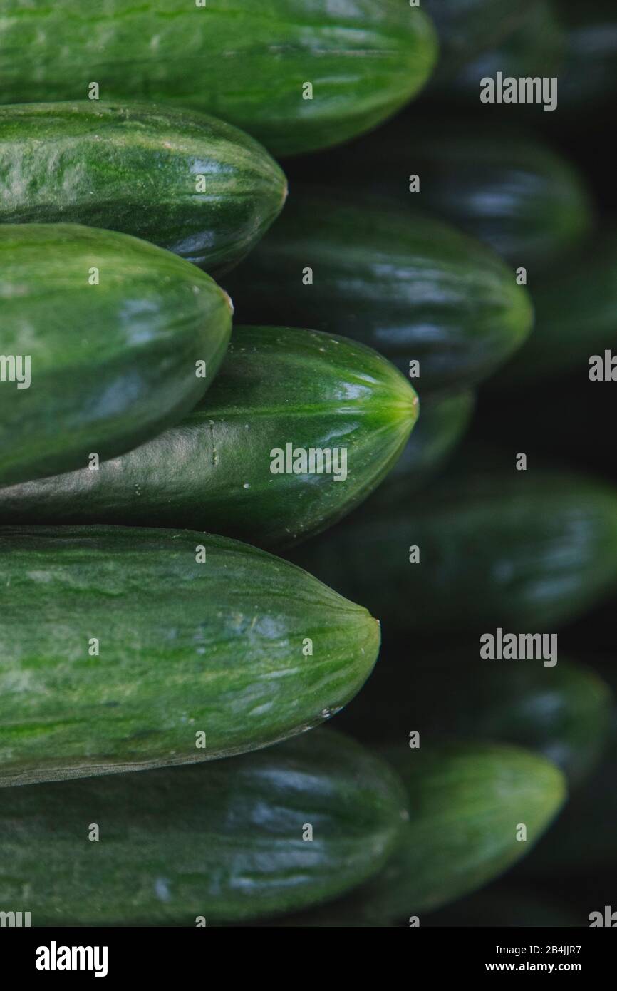 Cucumbers for sale at the market stall hi-res stock photography and ...