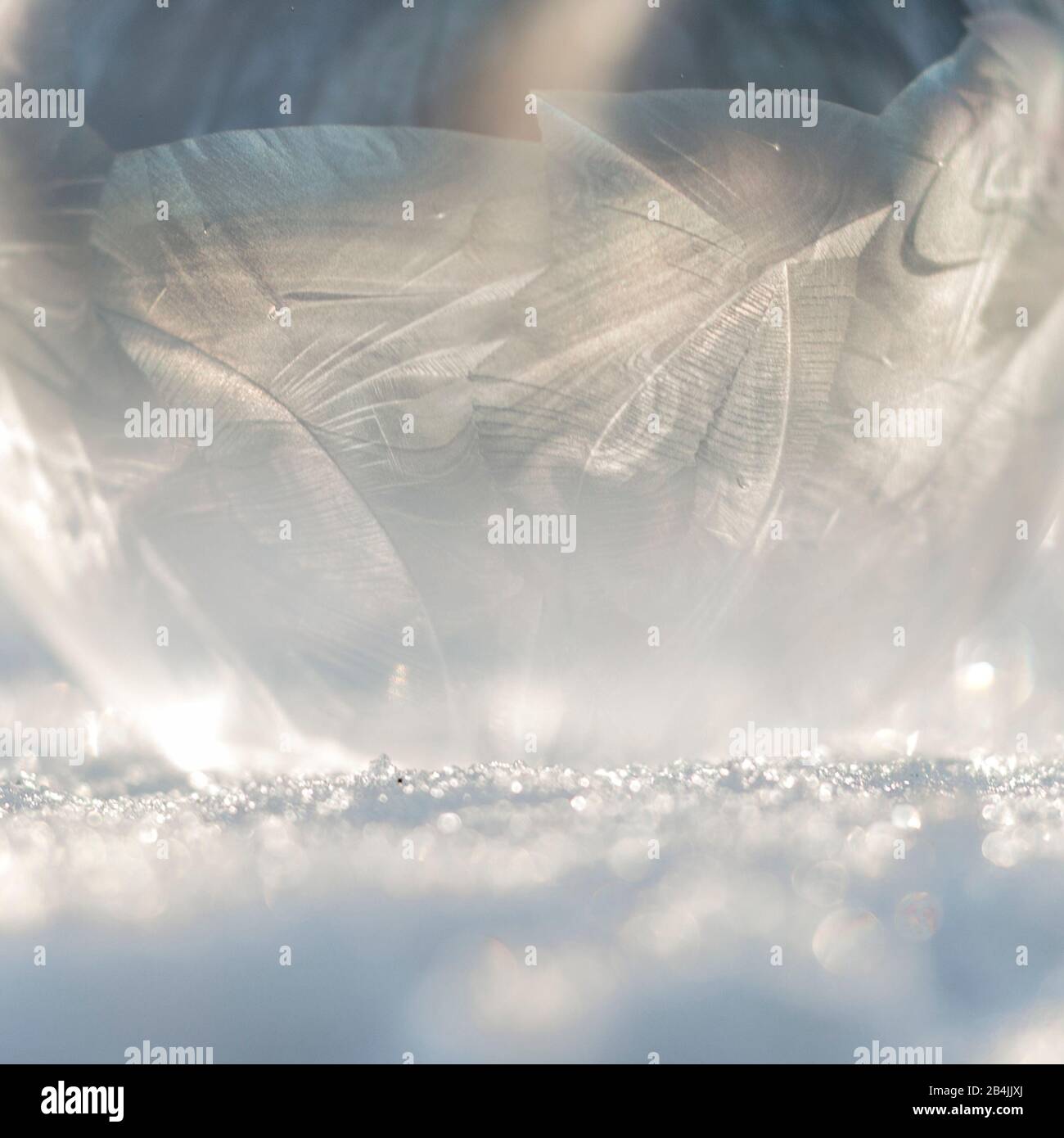 Ice ball hi-res stock photography and images - Alamy