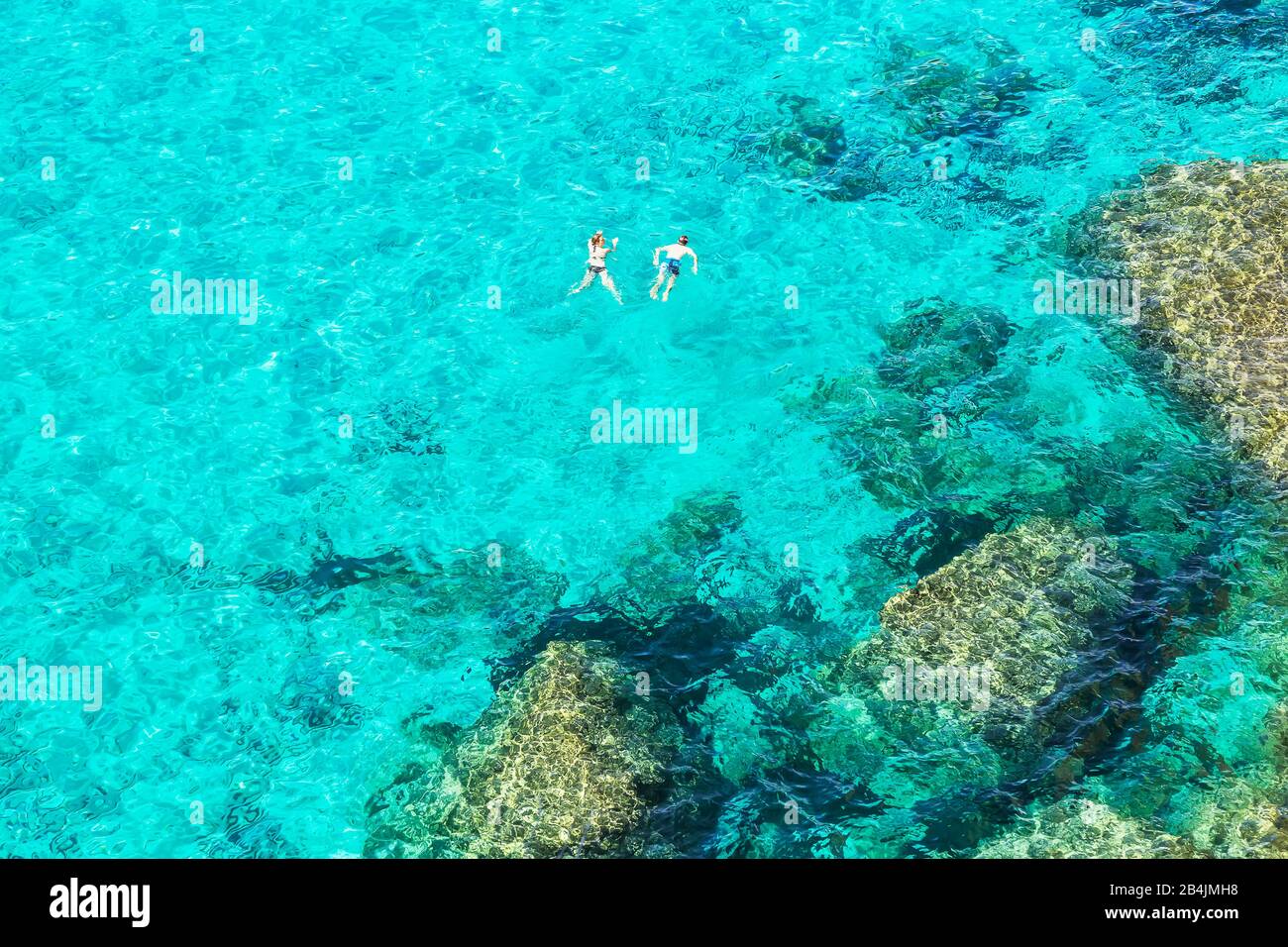 Coral Reefs Menorca Spain