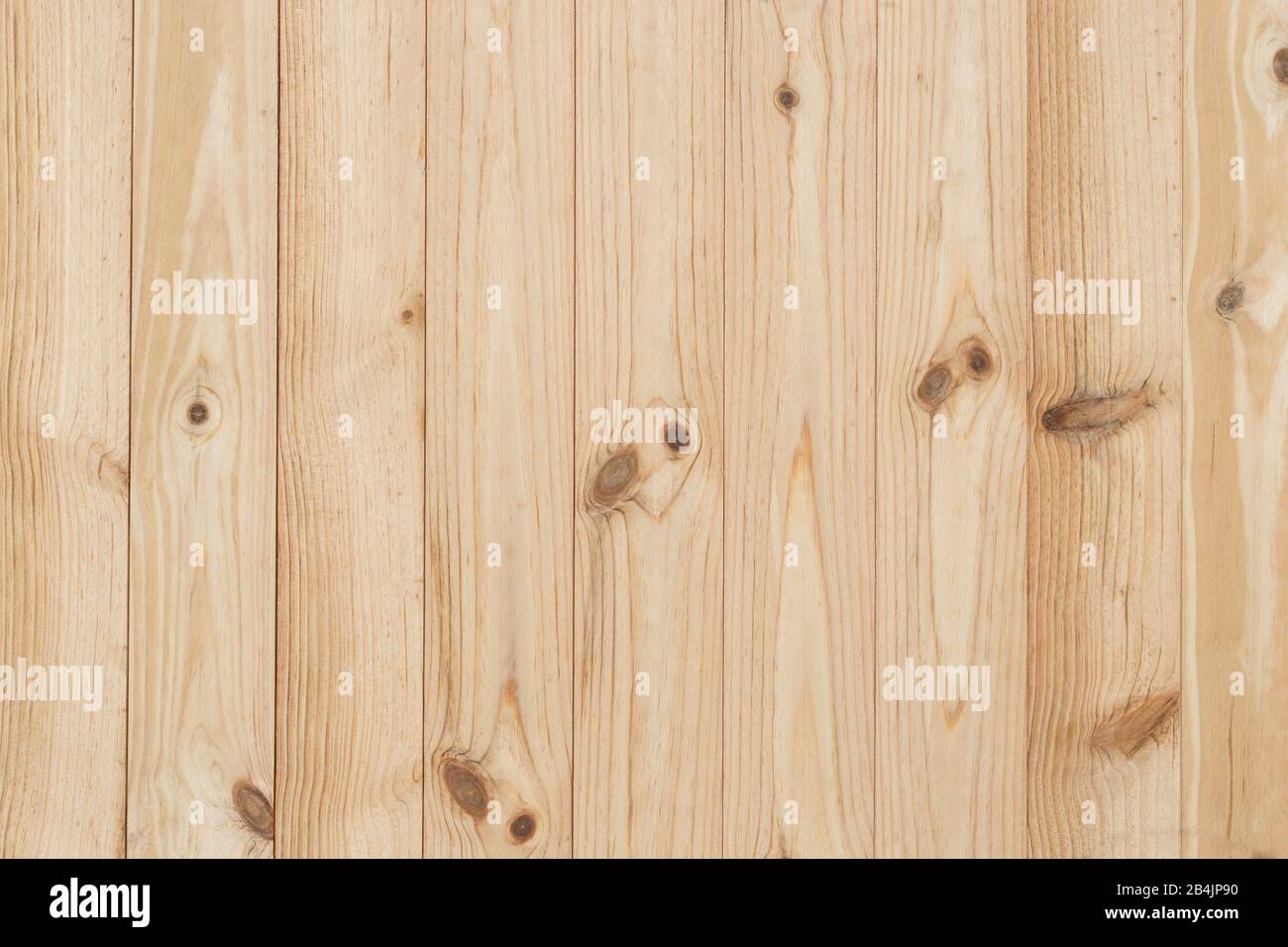 Birch Plank Texture