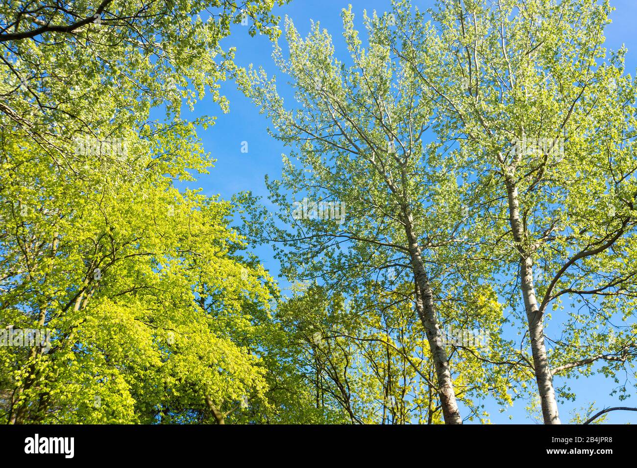 Prerower electricity hi-res stock photography and images - Alamy