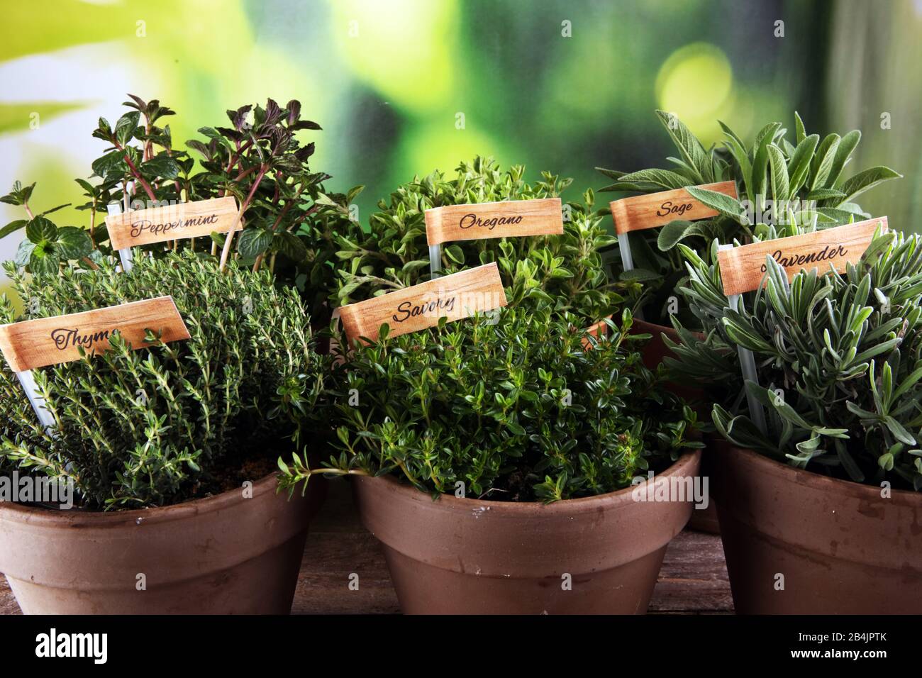Clay plant labels hi-res stock photography and images - Alamy