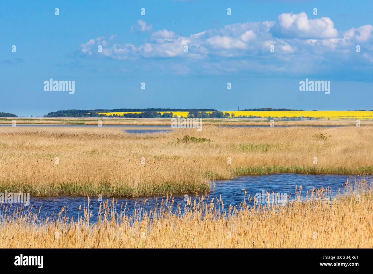 Baltic resort zingst hi-res stock photography and images - Alamy