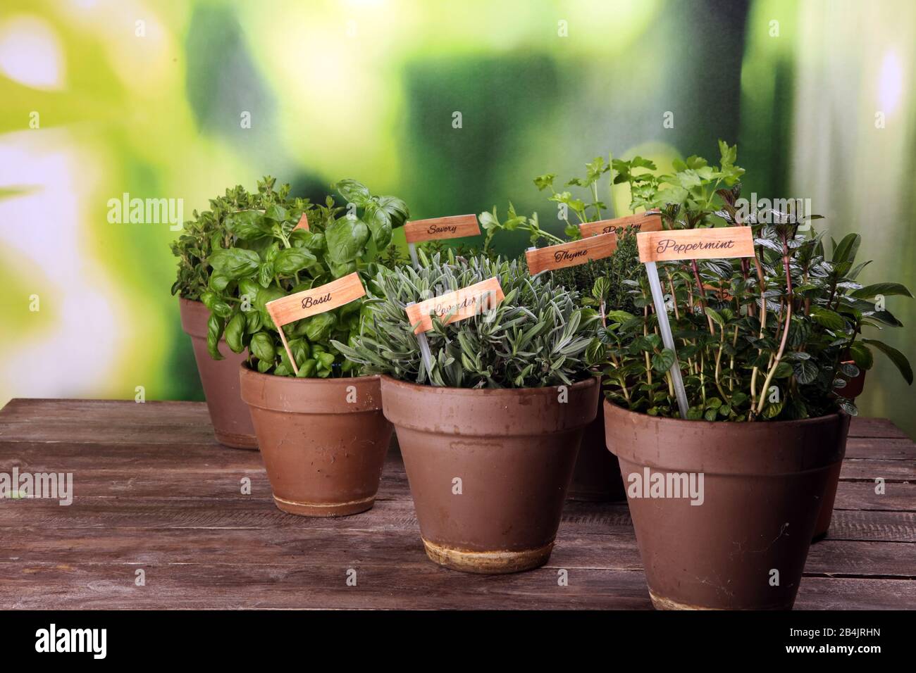 Table plants labels hi-res stock photography and images - Alamy
