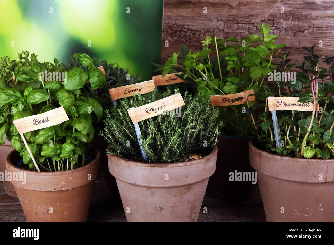 Clay plant labels hi-res stock photography and images - Alamy
