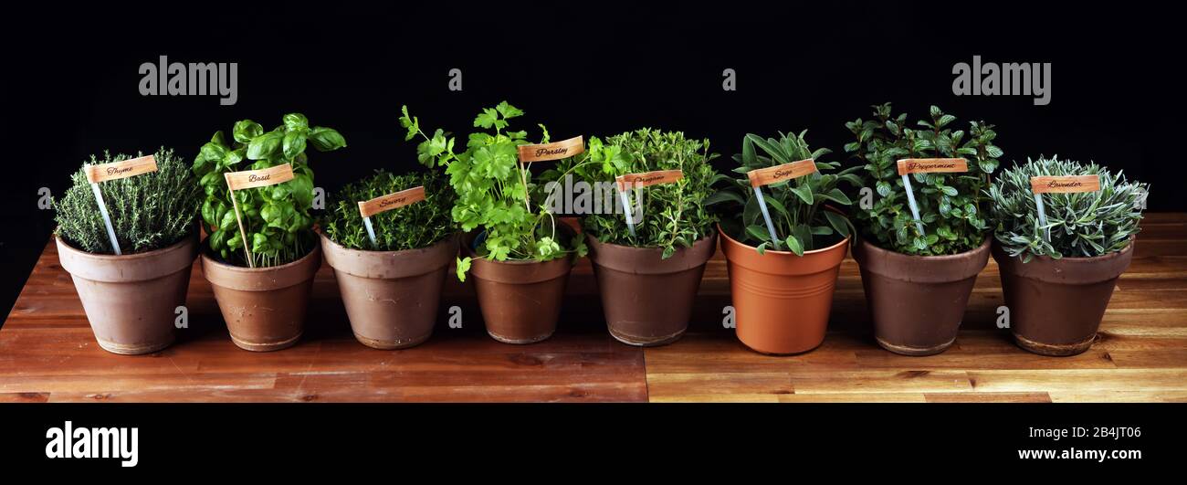 Clay plant labels hi-res stock photography and images - Alamy