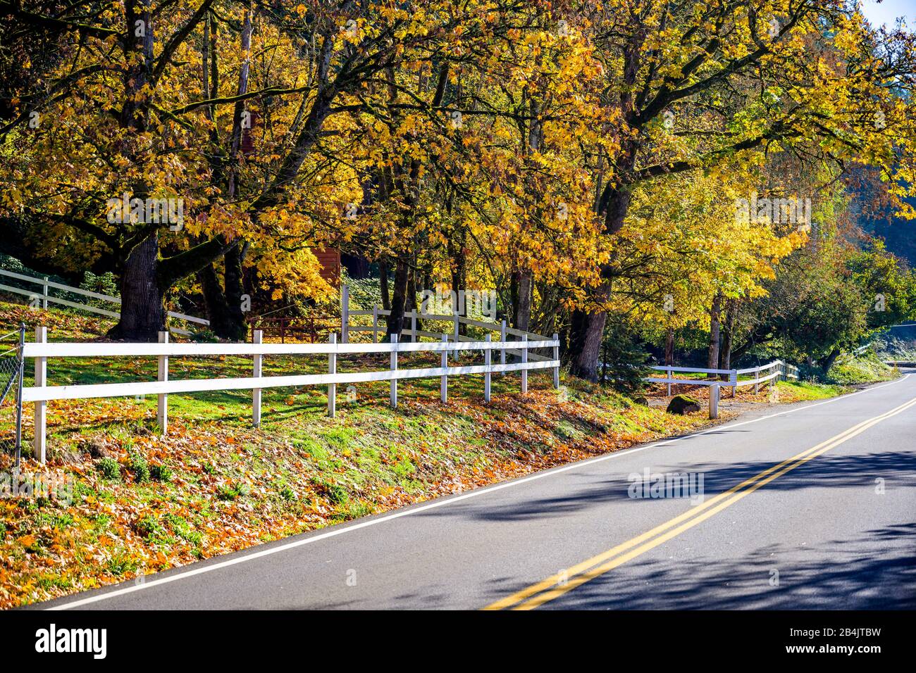 View through trees the barn hi-res stock photography and images - Alamy