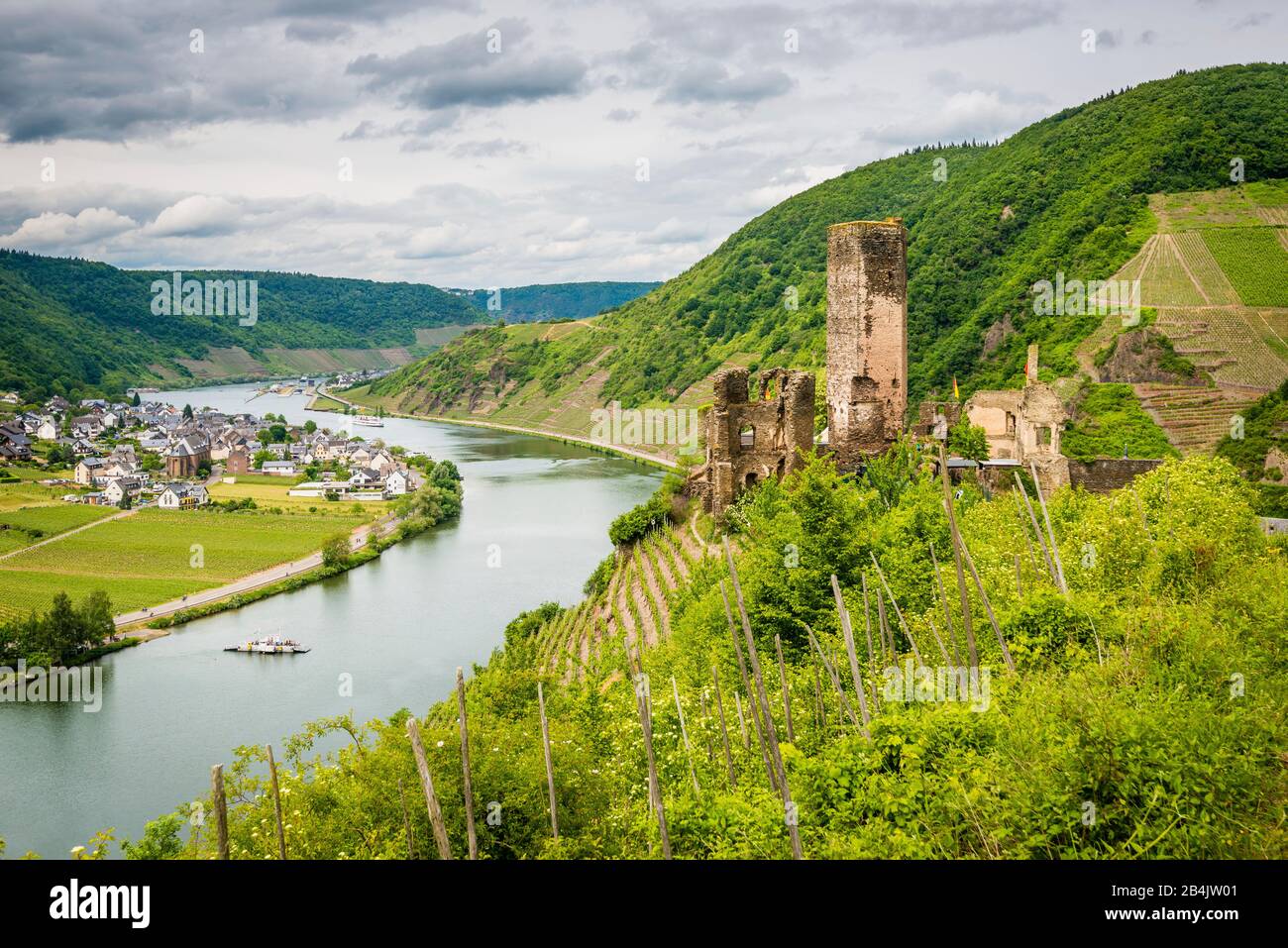 Metternich castle hi-res stock photography and images - Alamy