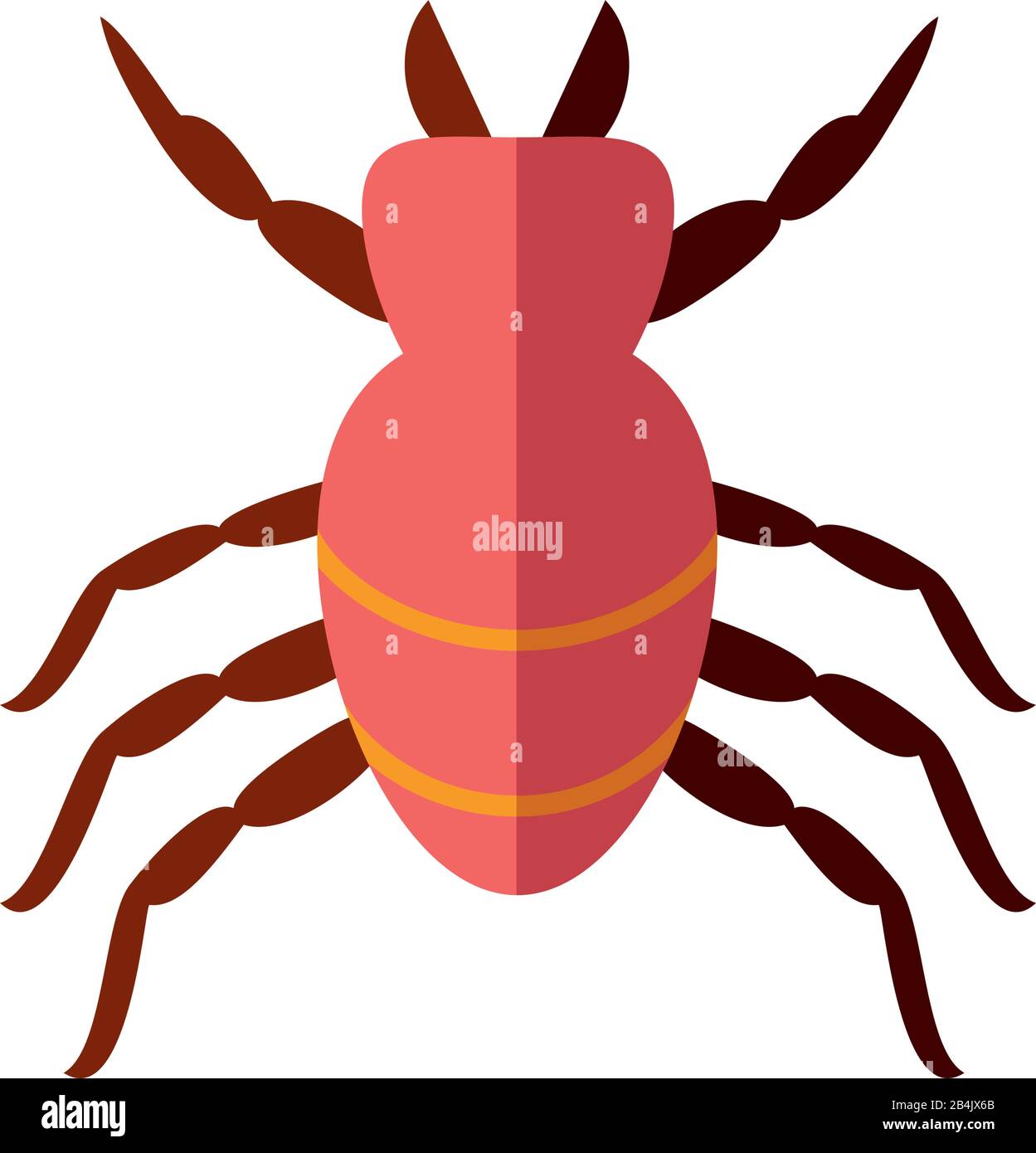 mite insect over white background, flat style icon, vector illustration ...