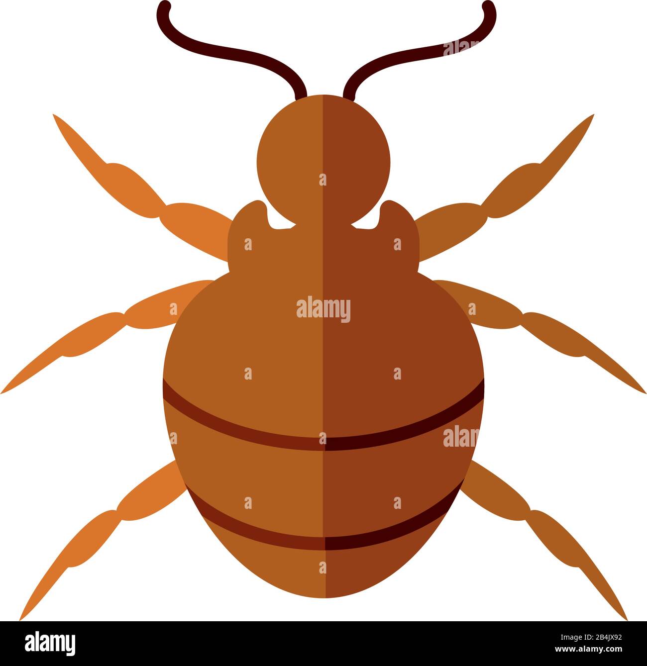 flea insect icon over white background, flat style, vector illustration ...