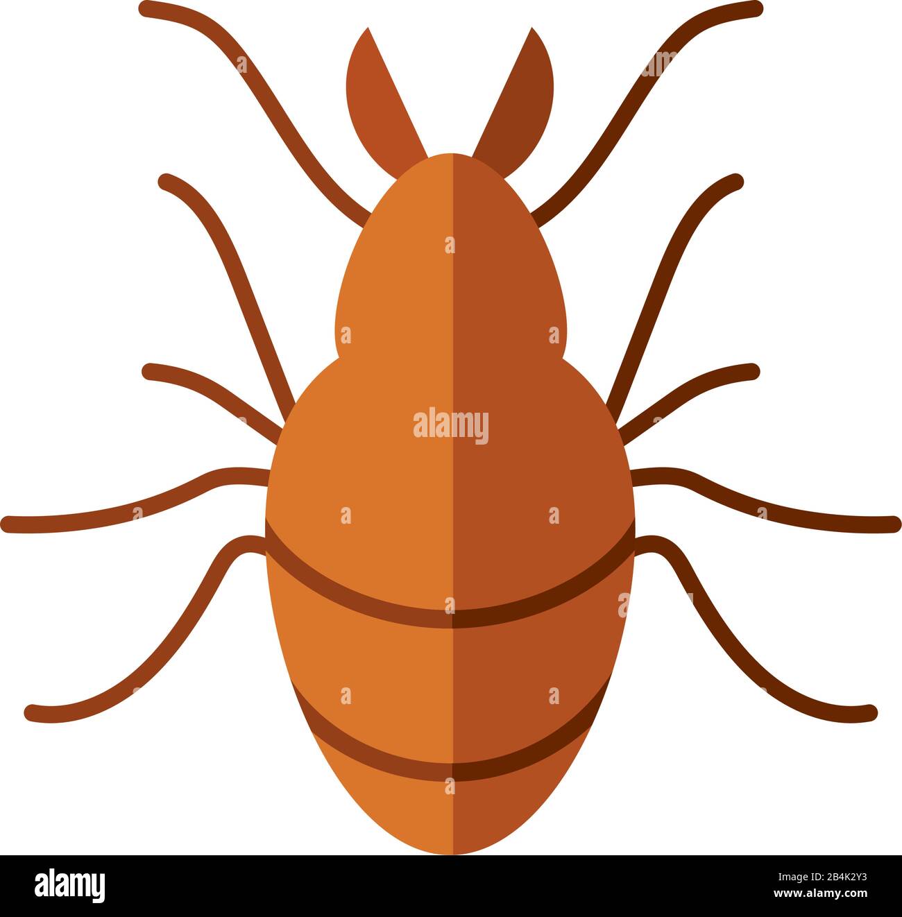 chafer insect icon over white background, flat style, vector ...