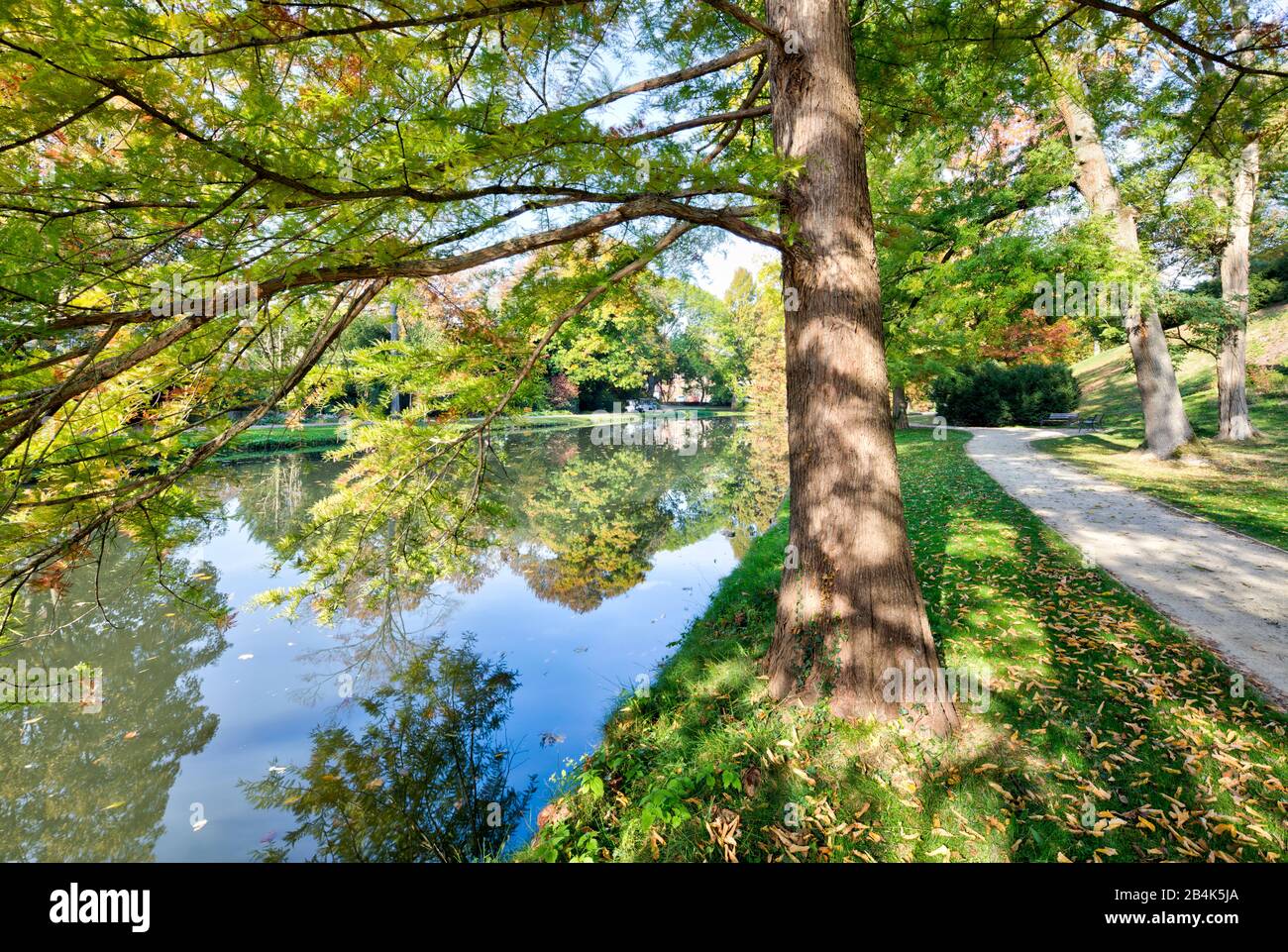 Moat, castle, water, reflection, autumn, Celle, Lower Saxony, Germany ...