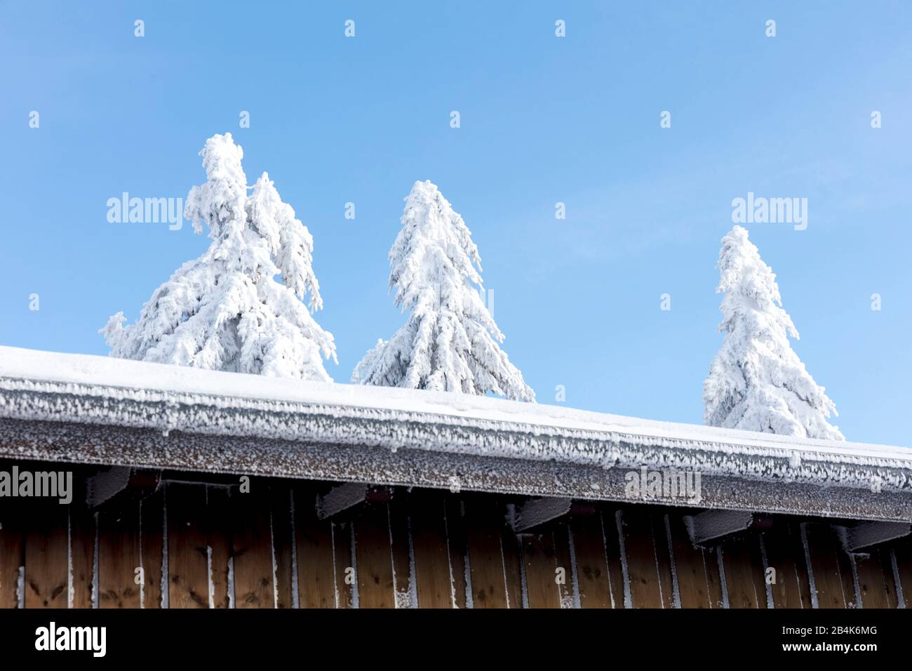 Winter, iced, Wasserkuppe, frost, snow, Rhön, Hesse, Germany, Europe ...