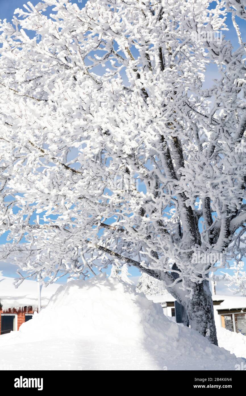 Winter, Wasserkuppe, Frost, Snow, Rhön, Hesse, Germany, Europe Stock ...