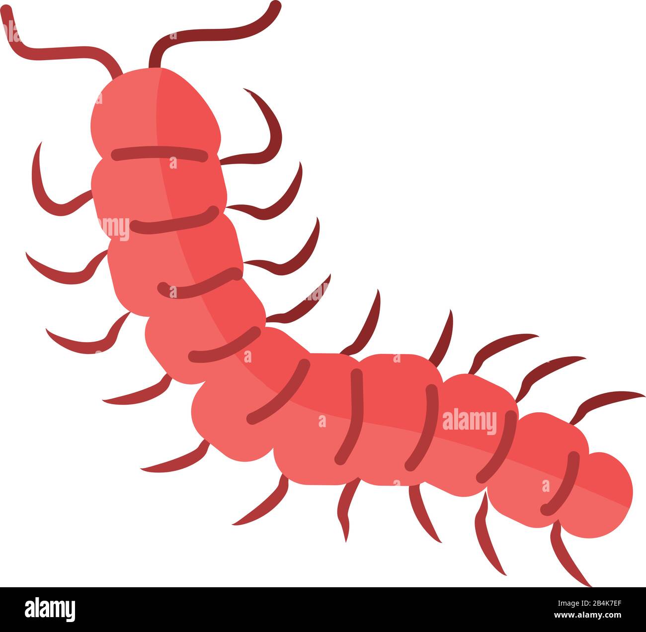 centipede insect over white background, flat style icon, vector ...