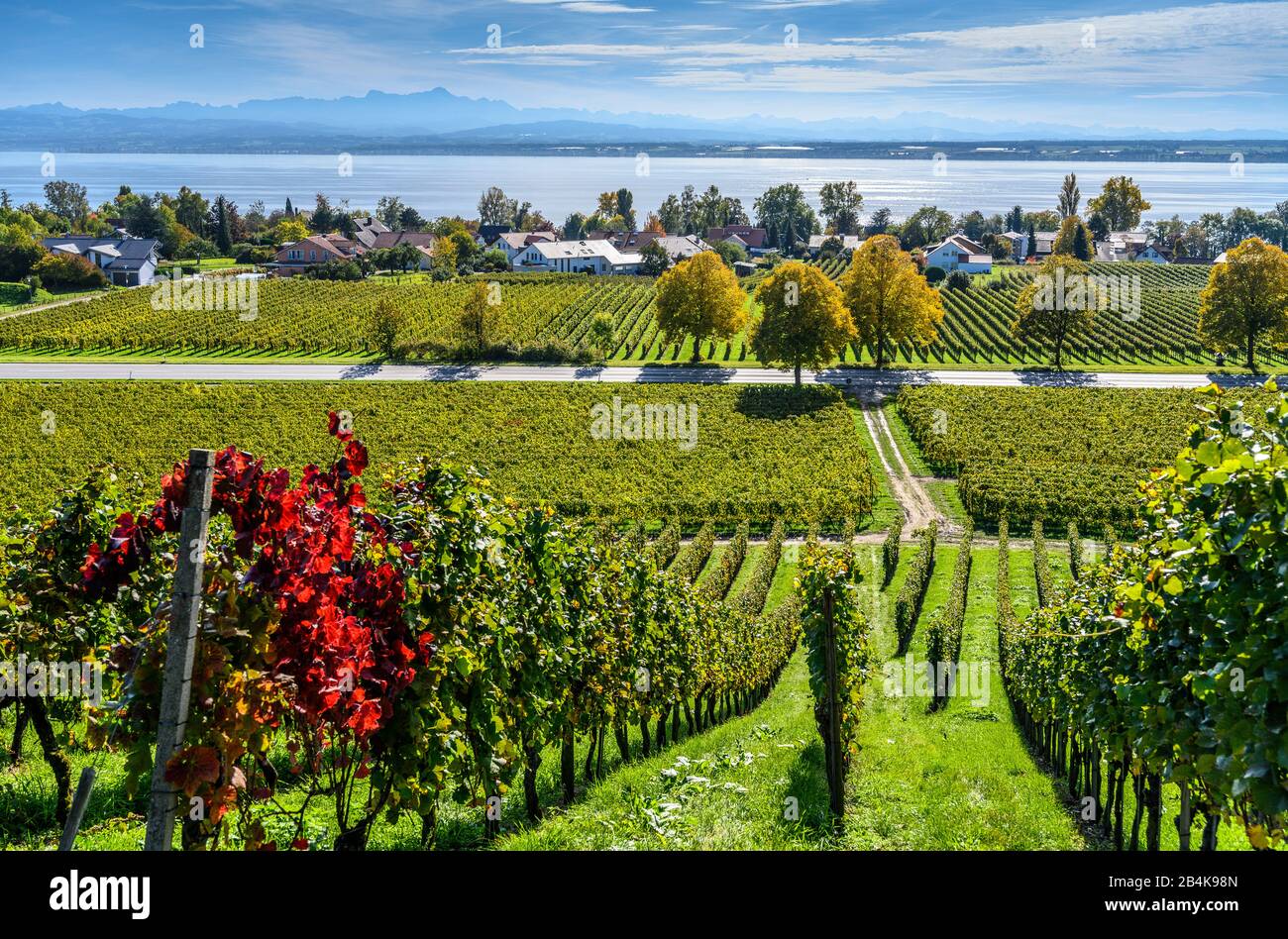 Immenstaad am bodensee hi-res stock photography and images - Alamy