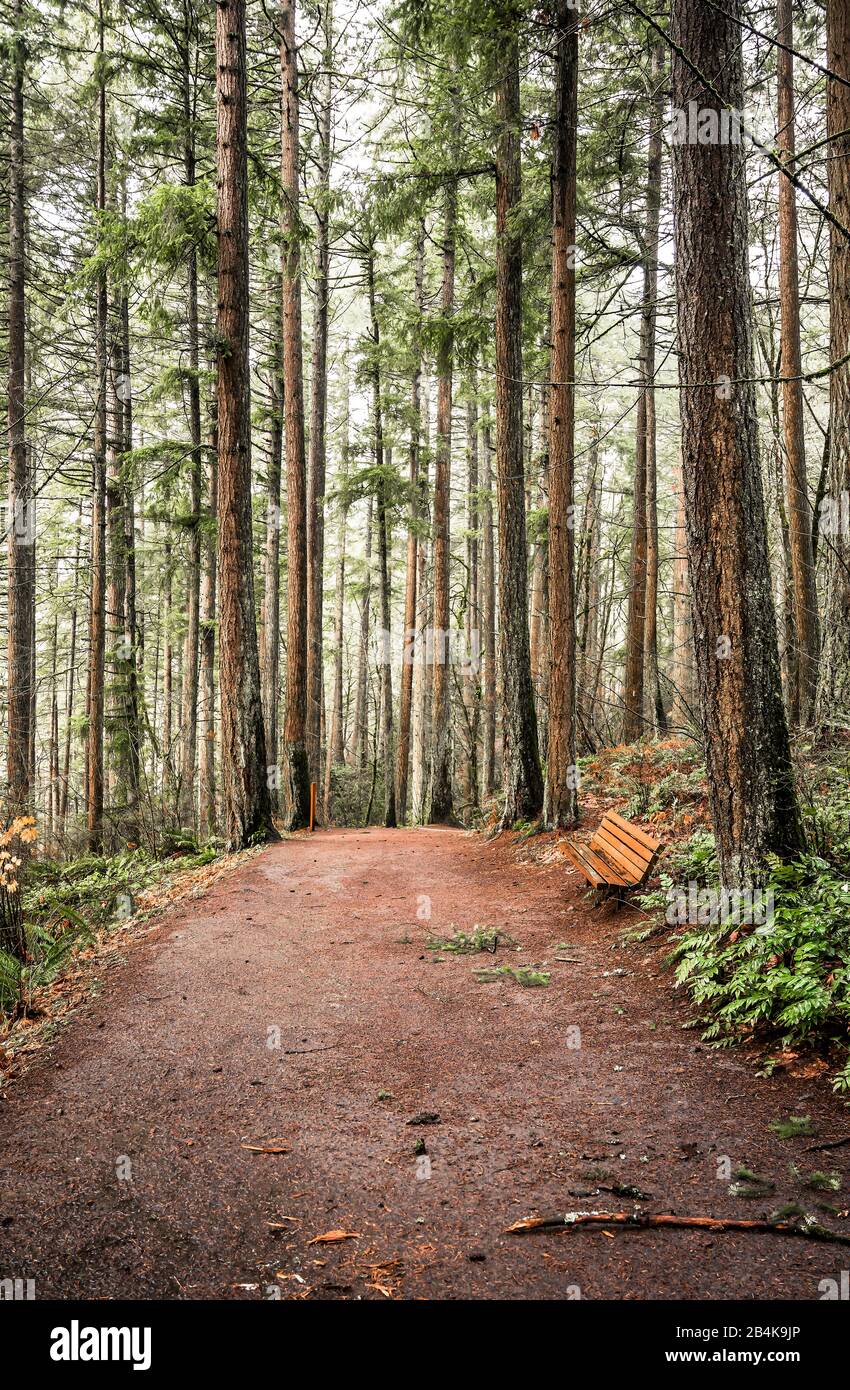 Tall moss hi-res stock photography and images - Alamy