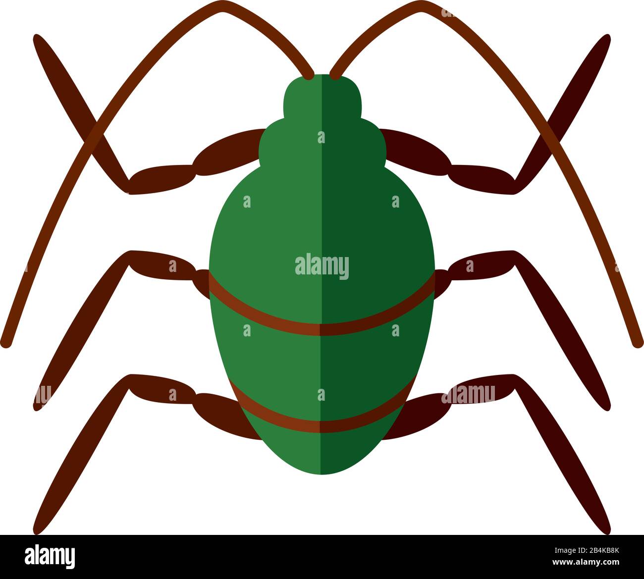 stink beetle insect icon over white background, flat style, vector ...