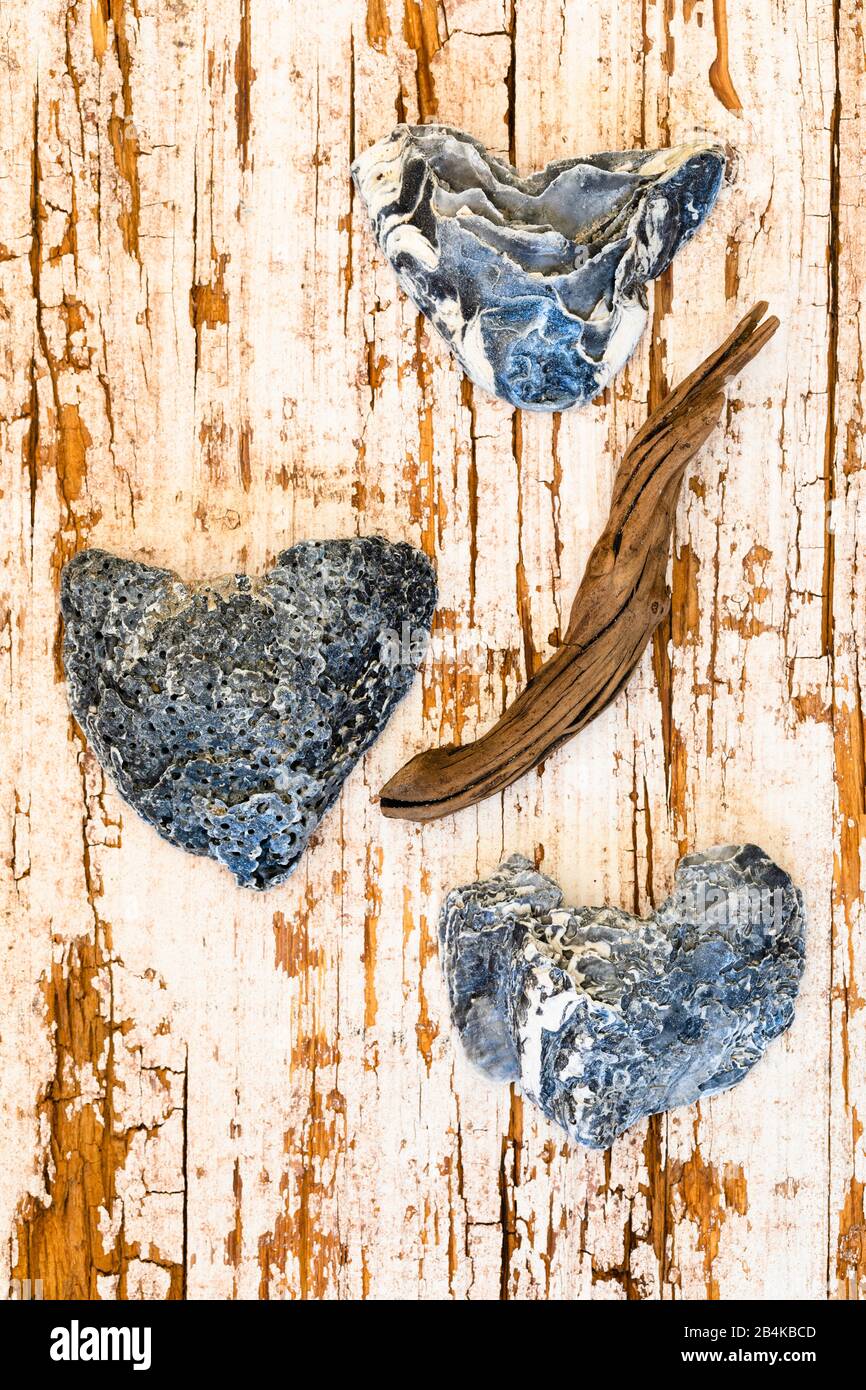 Heart-shaped flotsam, wooden background Stock Photo - Alamy