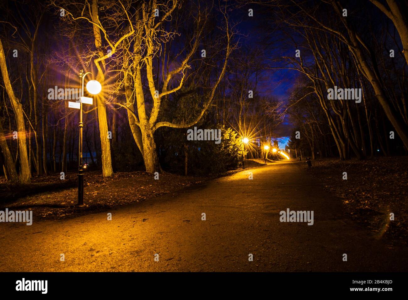 Light trails in the forest Stock Photo - Alamy