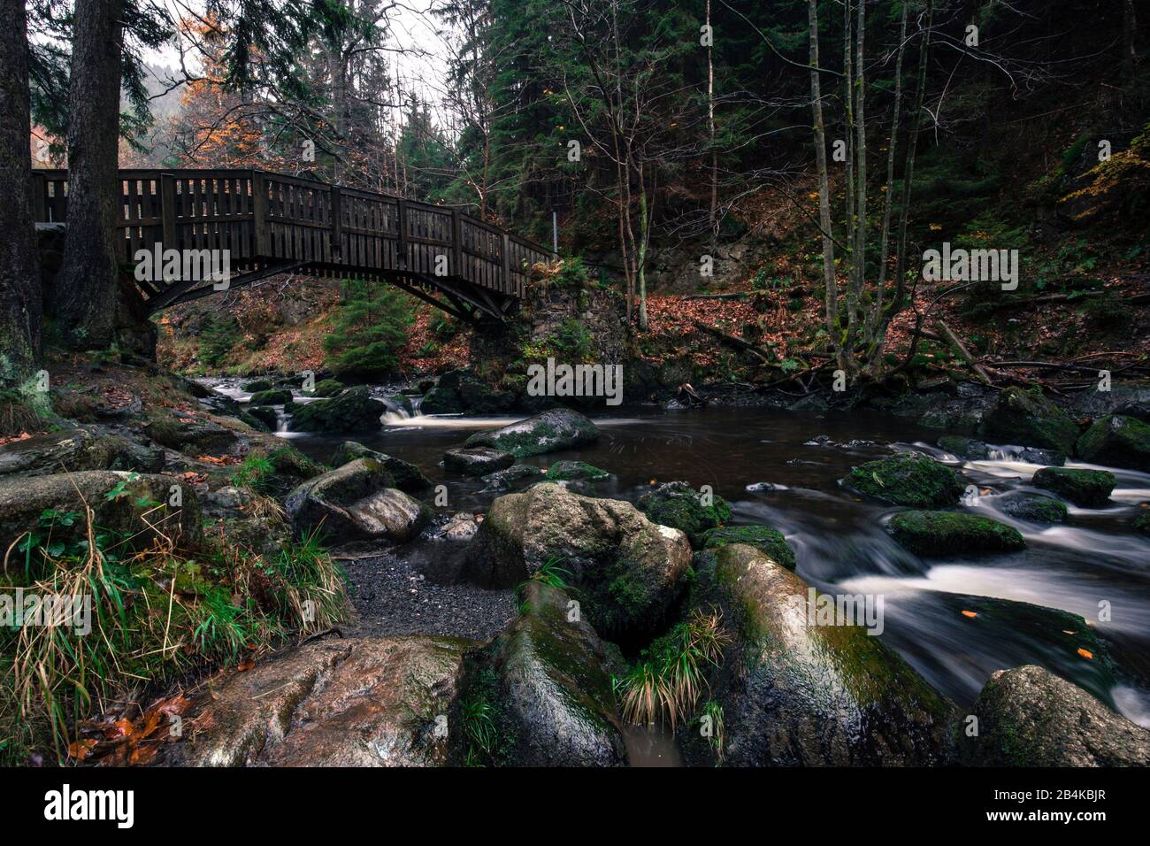 Europe germany harz national hi-res stock photography and images - Alamy