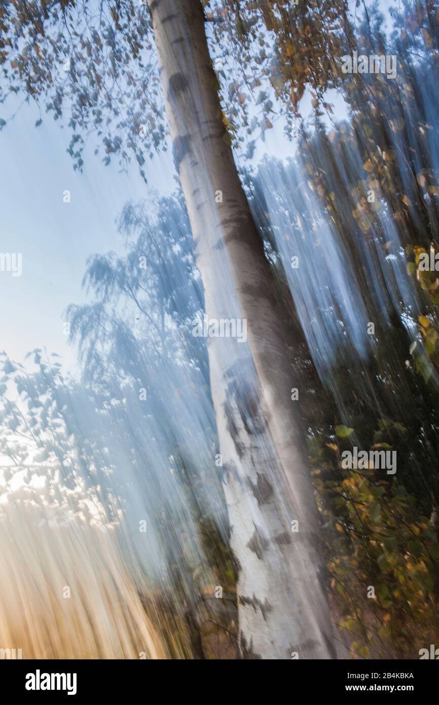 Abstractly hi-res stock photography and images - Alamy