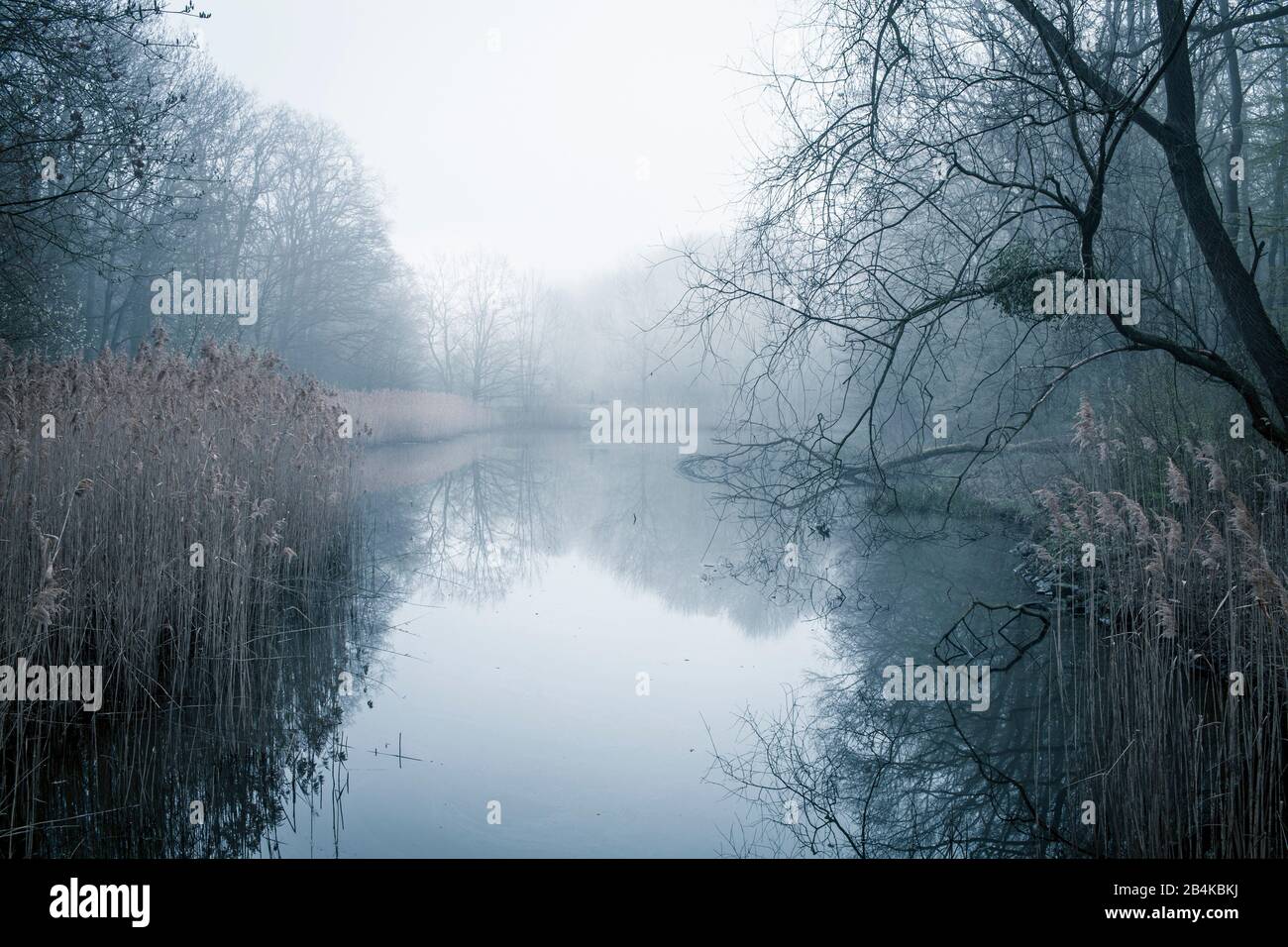 Spring morning hi-res stock photography and images - Alamy