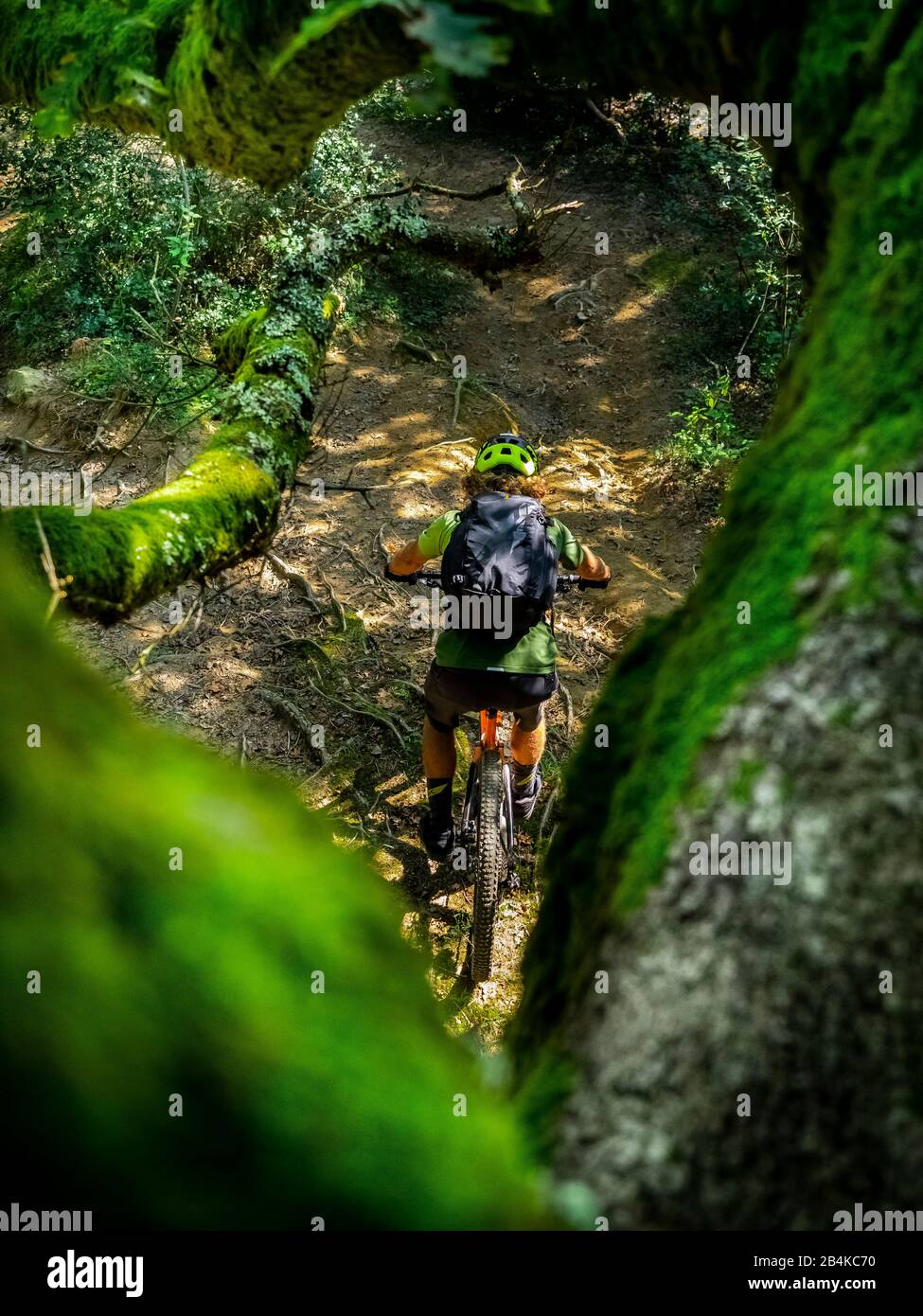 Biking in forest hi-res stock photography and images - Alamy