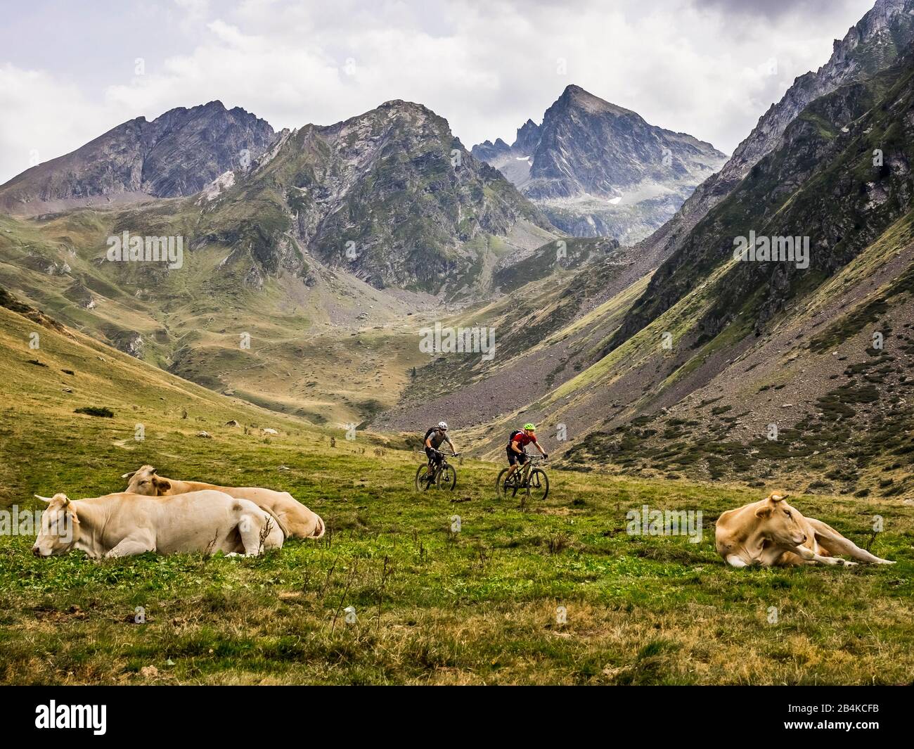 Meadow in the pyrenees hi-res stock photography and images - Alamy