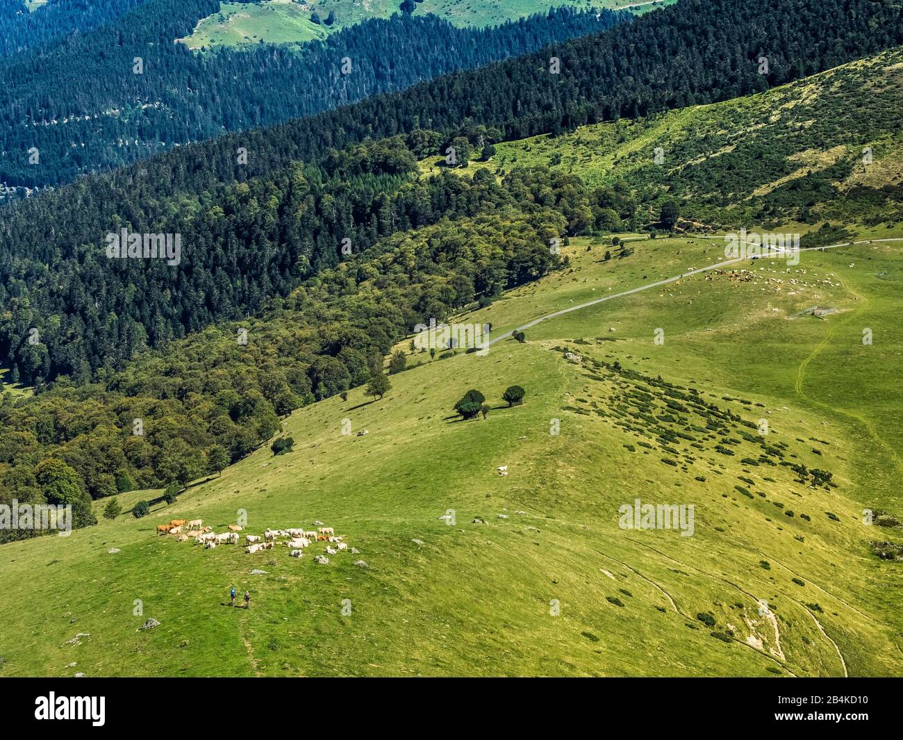 Mountain biking in the French High Pyrenees Stock Photo - Alamy